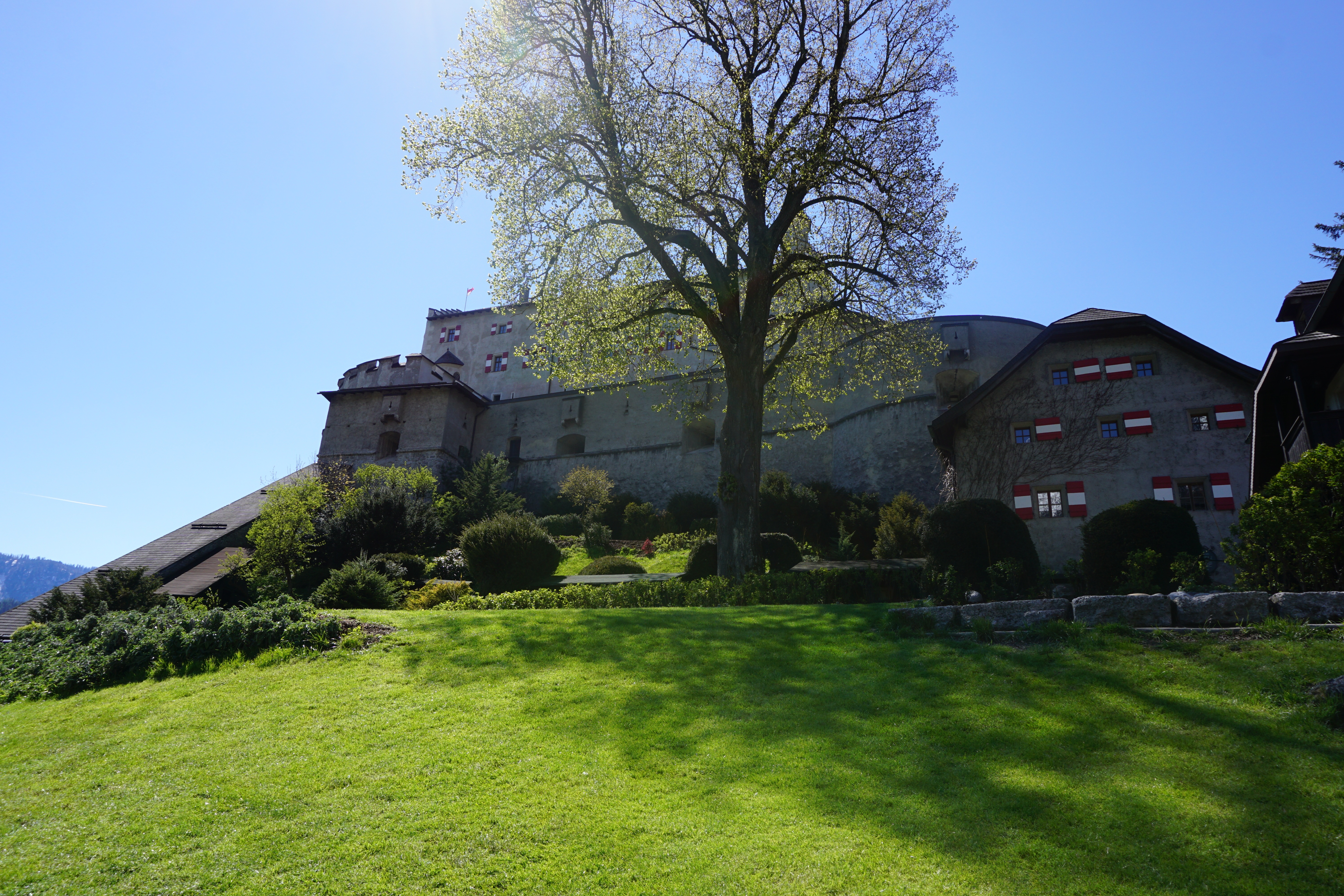 Castle Tree Nature Middle free image download