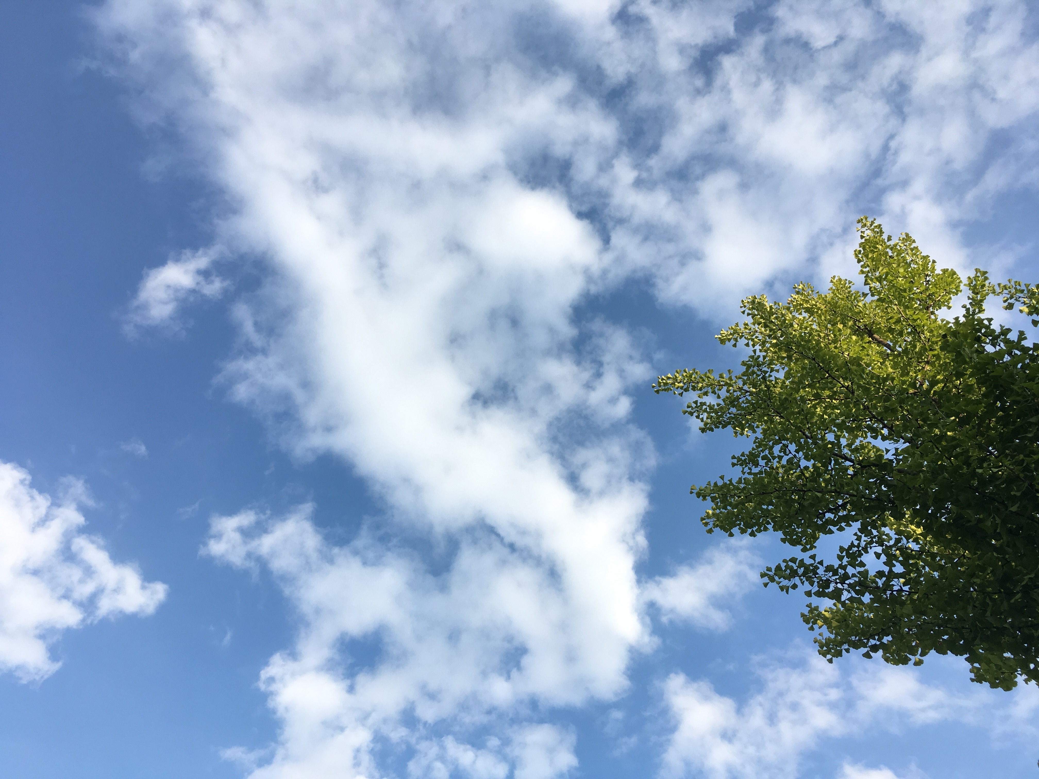 Summer Sky Fair free image download