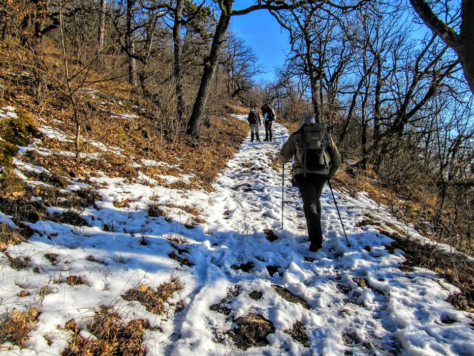Winter Tour Mountain free image download