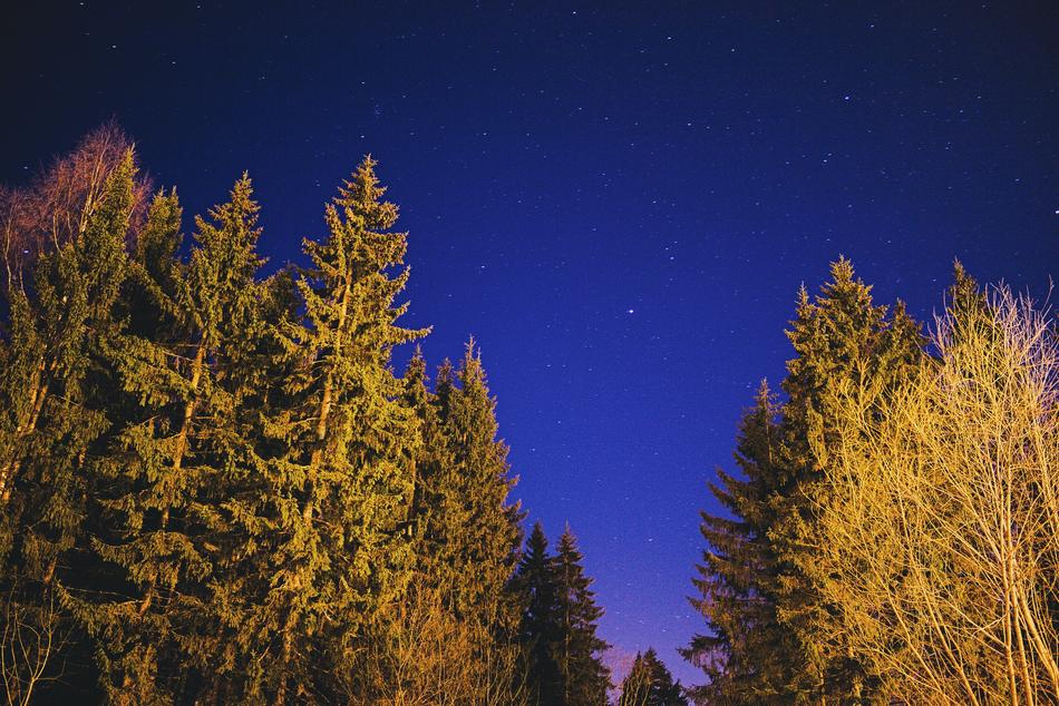 Star Night Sky Landscape free image download