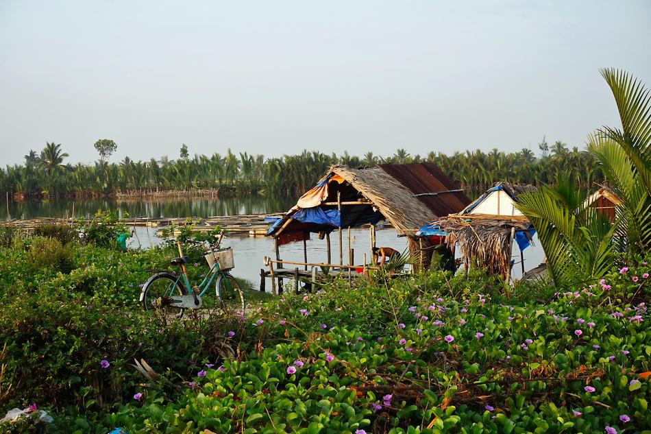 Tropics Landscape Shack free image download