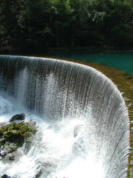 Water Fall Forest Clear free image download