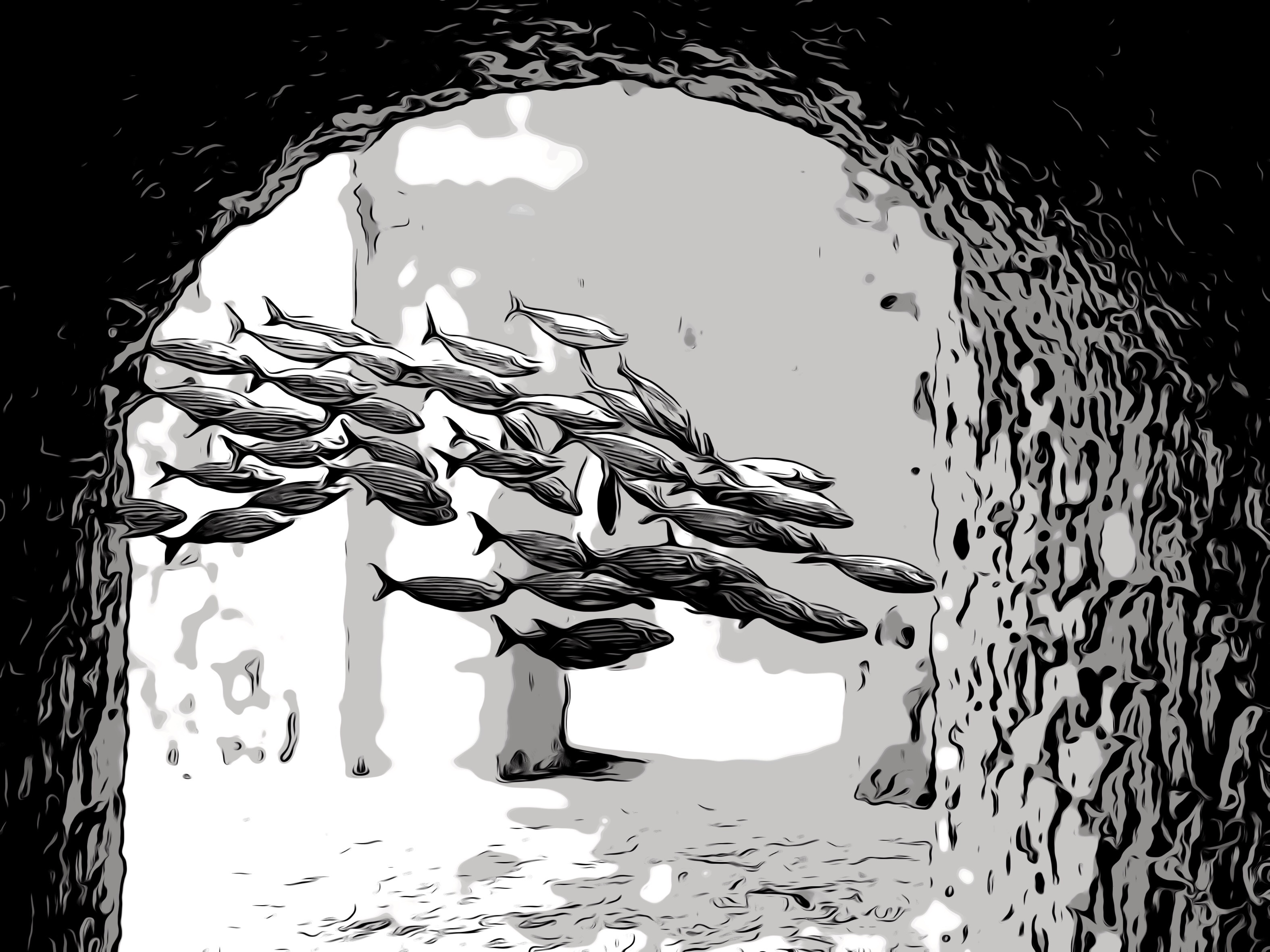 Comic fish under water sea free image download