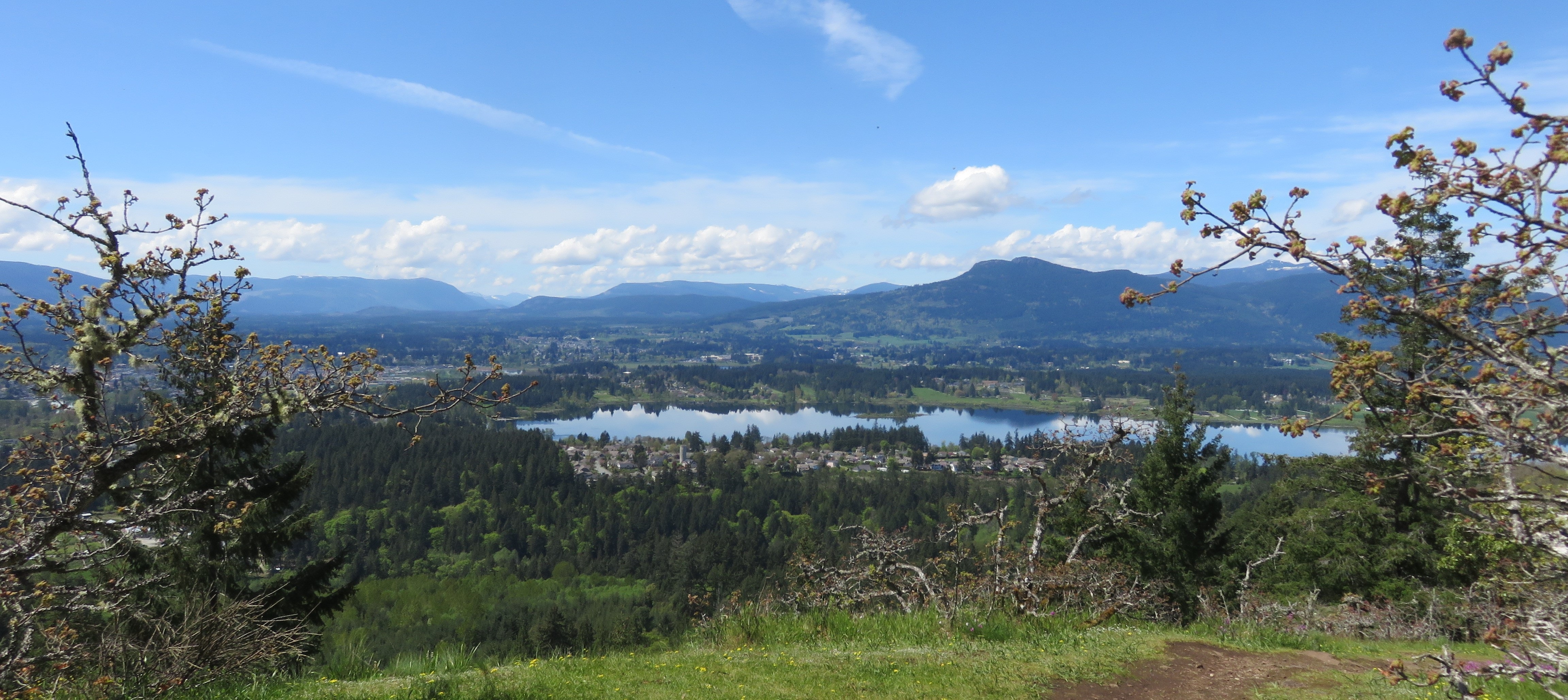 Spring View Nature free image download