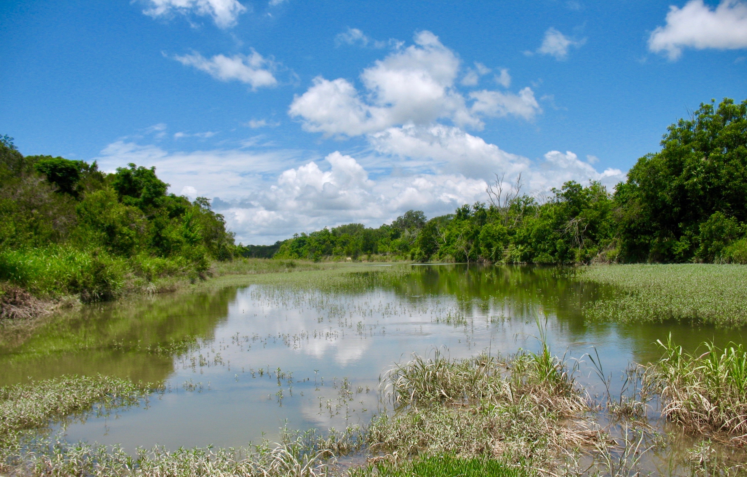 Scenery Nature River free image download