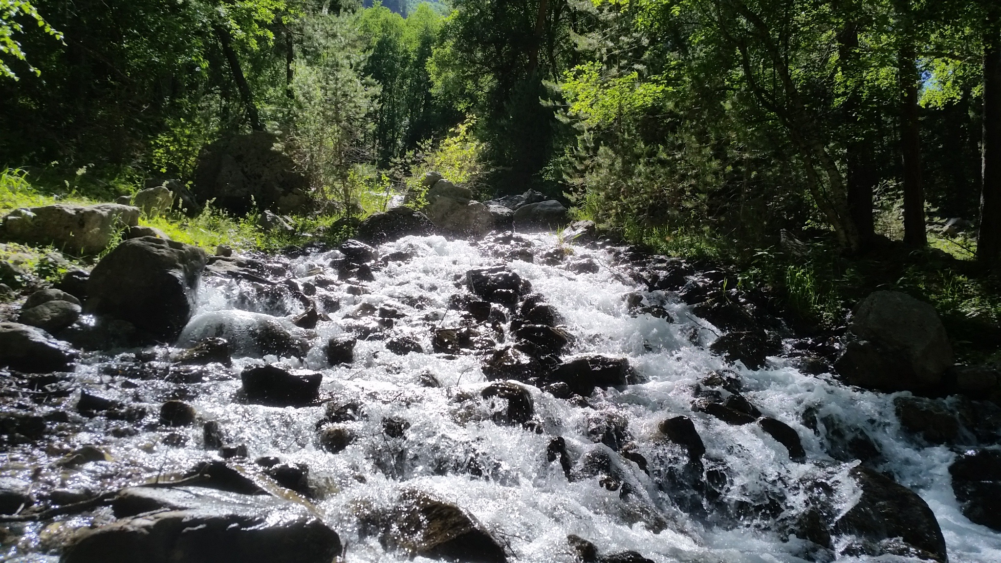 Creek Mountain Stream free image download