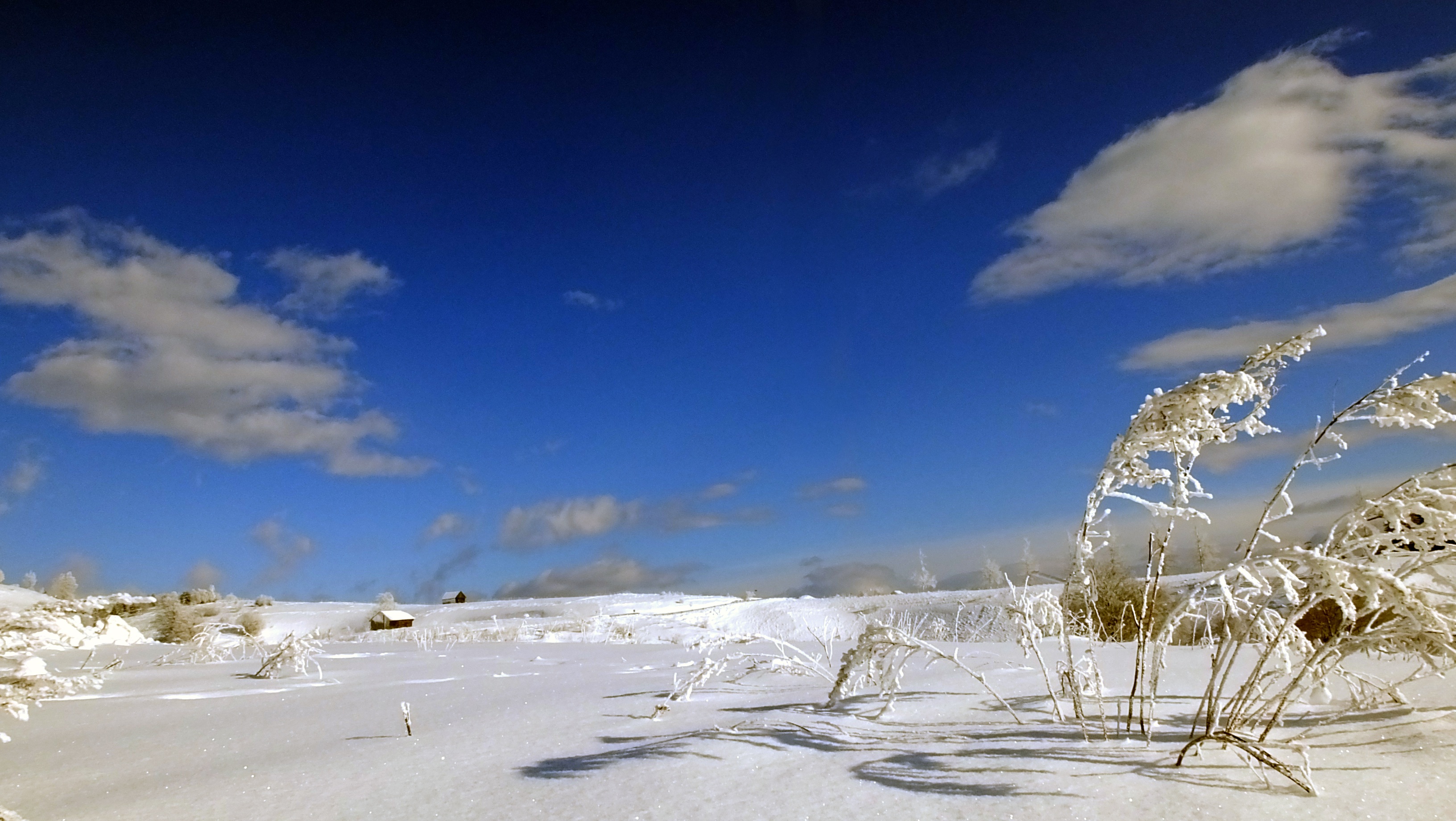Winter Landscape Cold Frost free image download