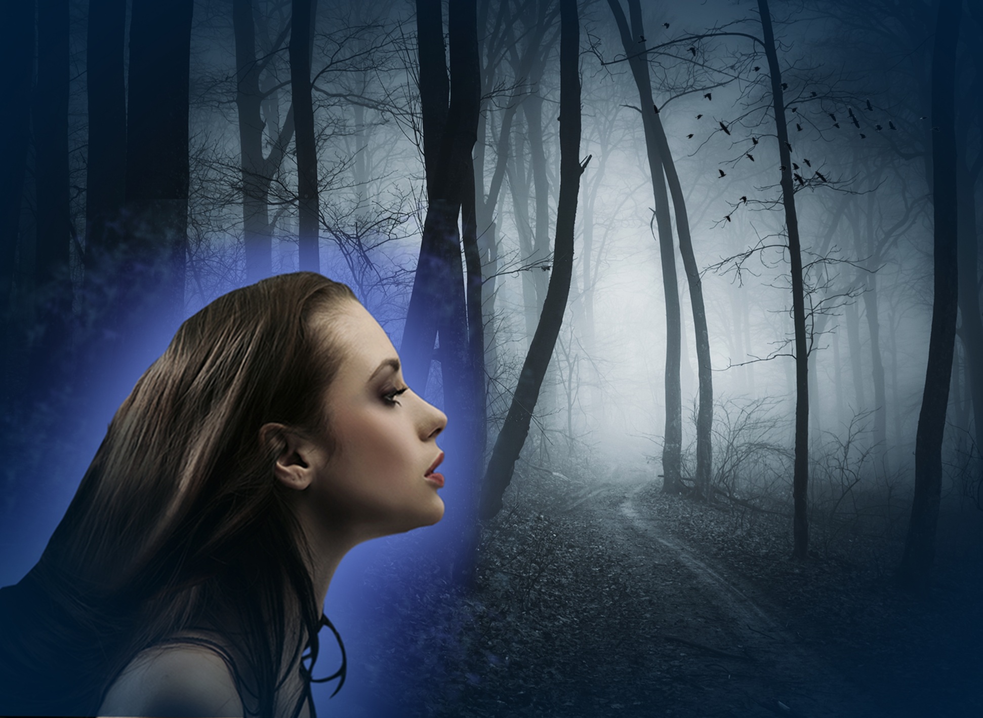 Night Scary Magic free image download