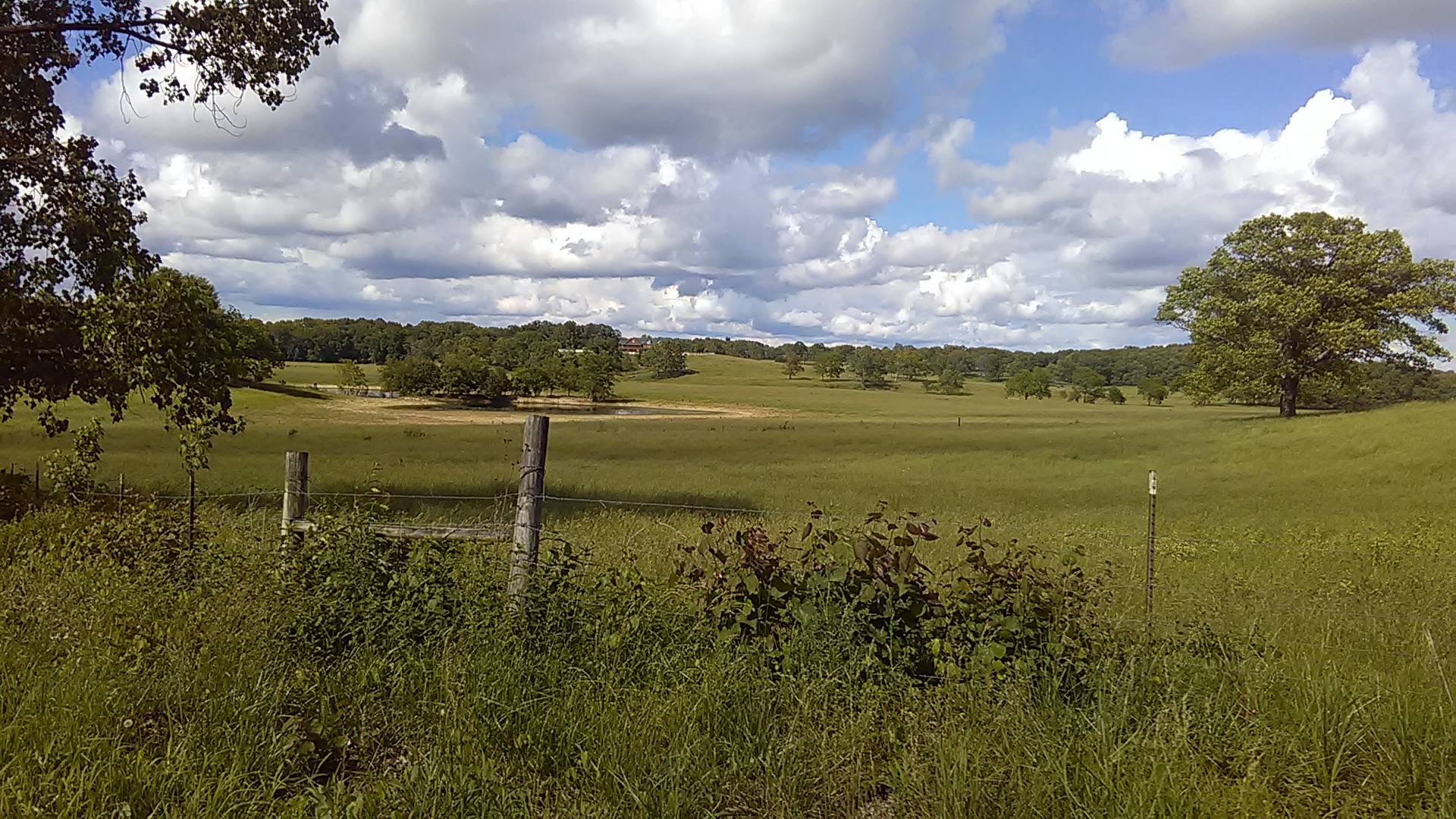 Pasture Field Nature free image download