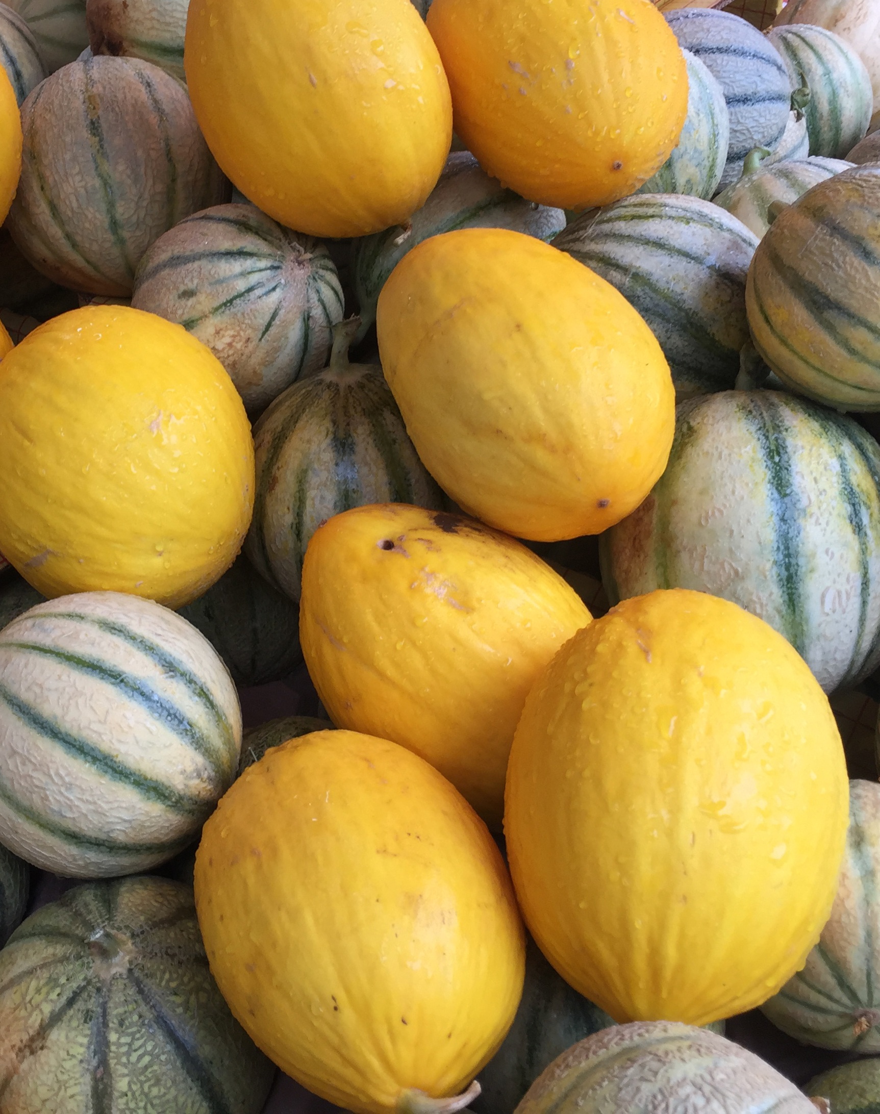 Crop of colorful melons free image download