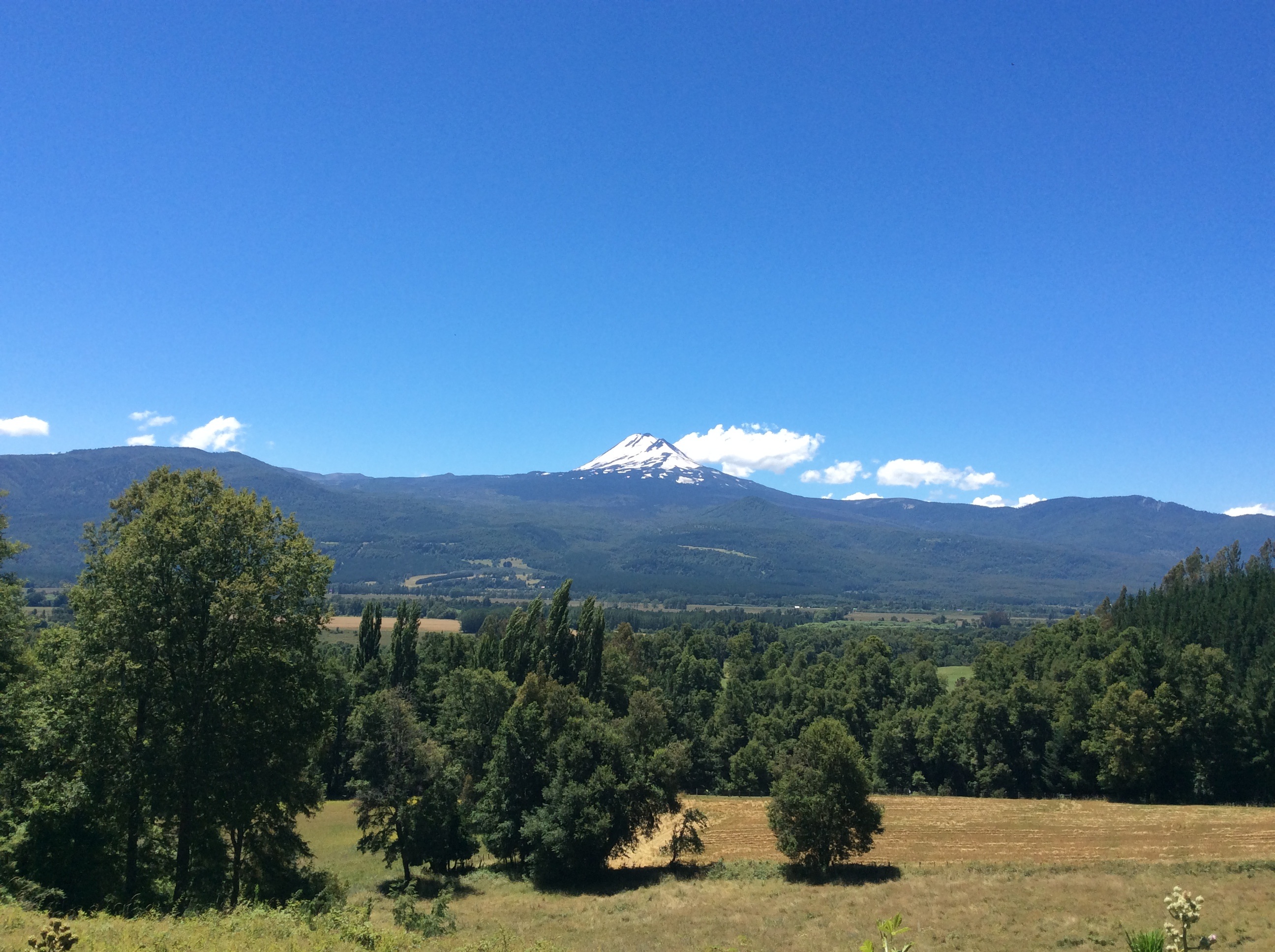 South Chile Nature free image download