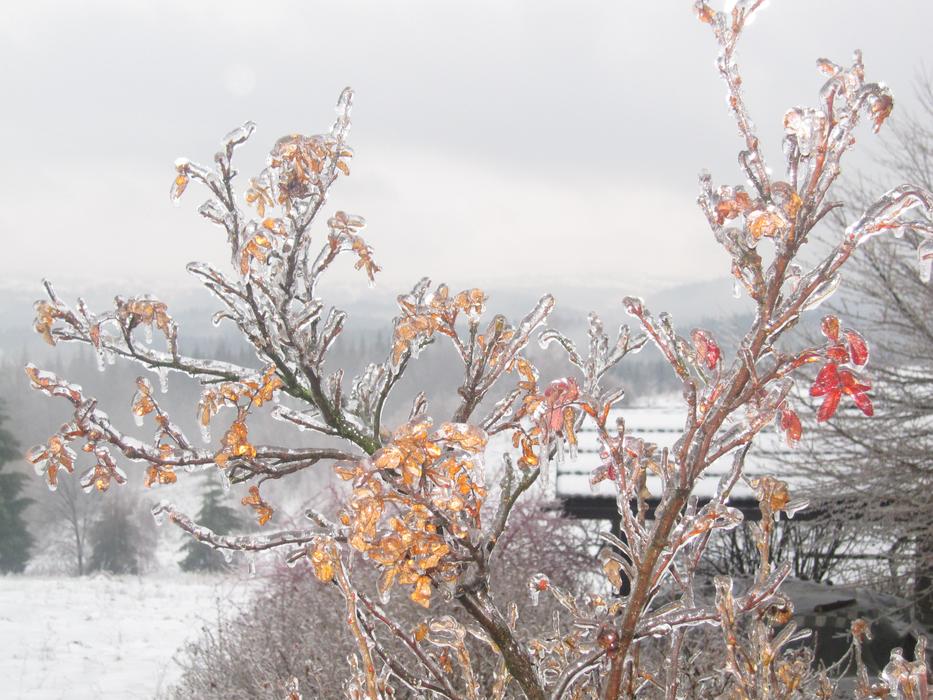 Winter Poland Ice free image download