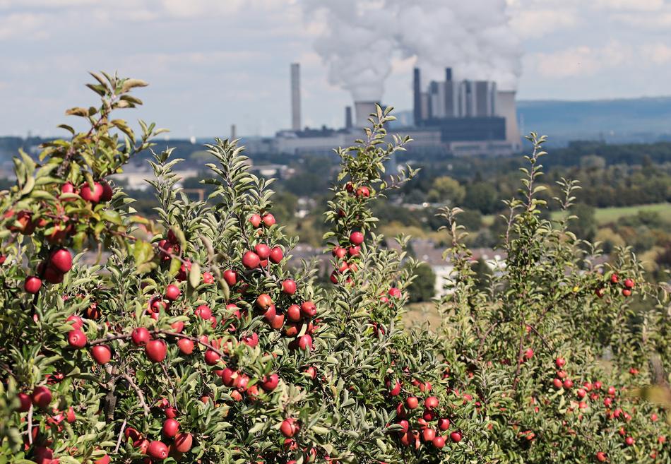 Apple Power Plant Coal Fired free image download