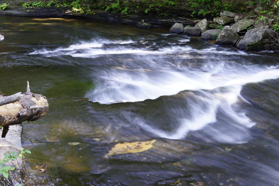 Creek Stream Outdoor free image download
