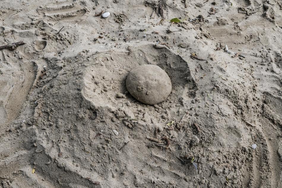 Sand Ball Beach Play free image download