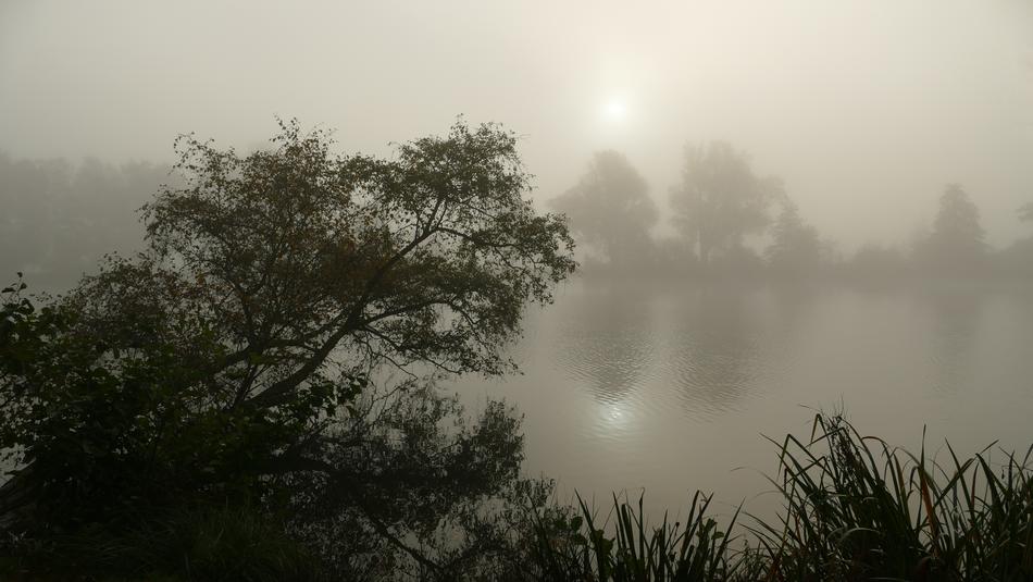 Autumn Early Morning With Fog Mood free image download