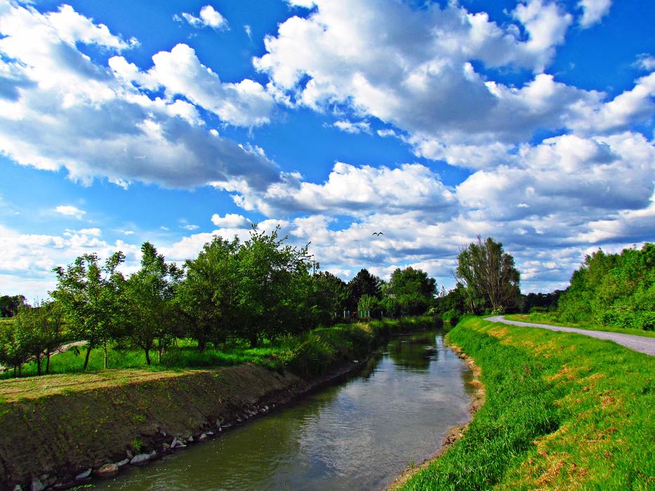 Water Brook Field The free image download