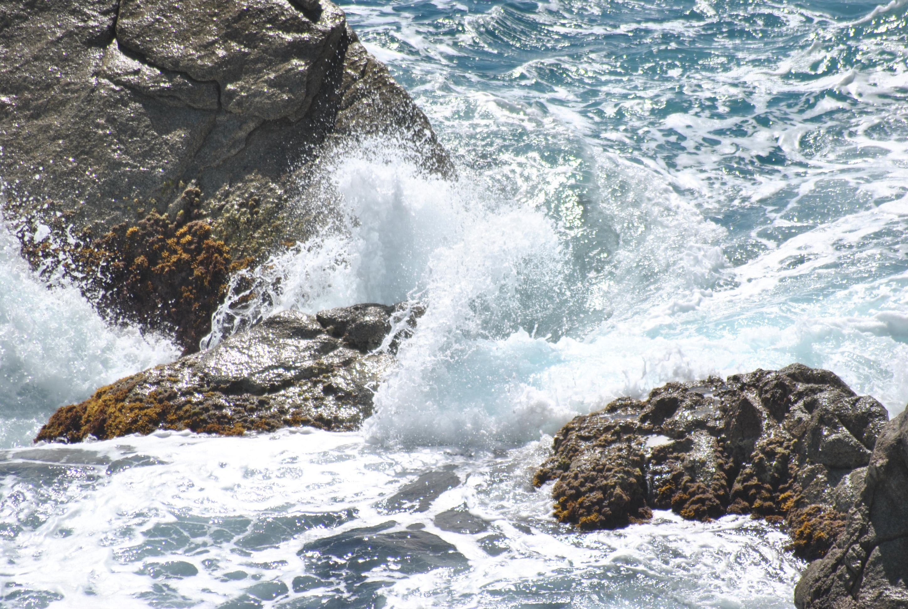Rock Sea Rocks free image download