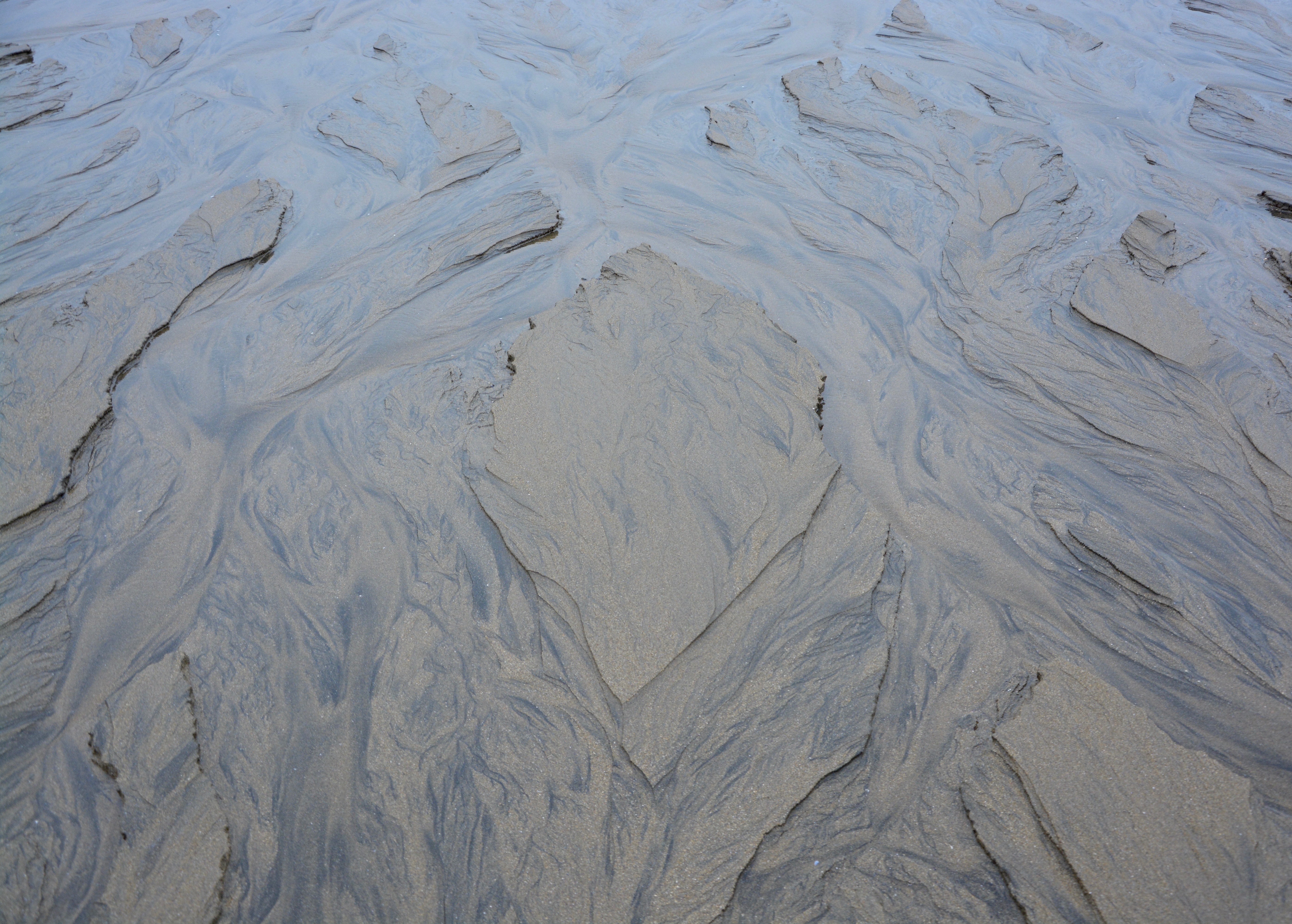 Beach Furrows Sea Water free image download