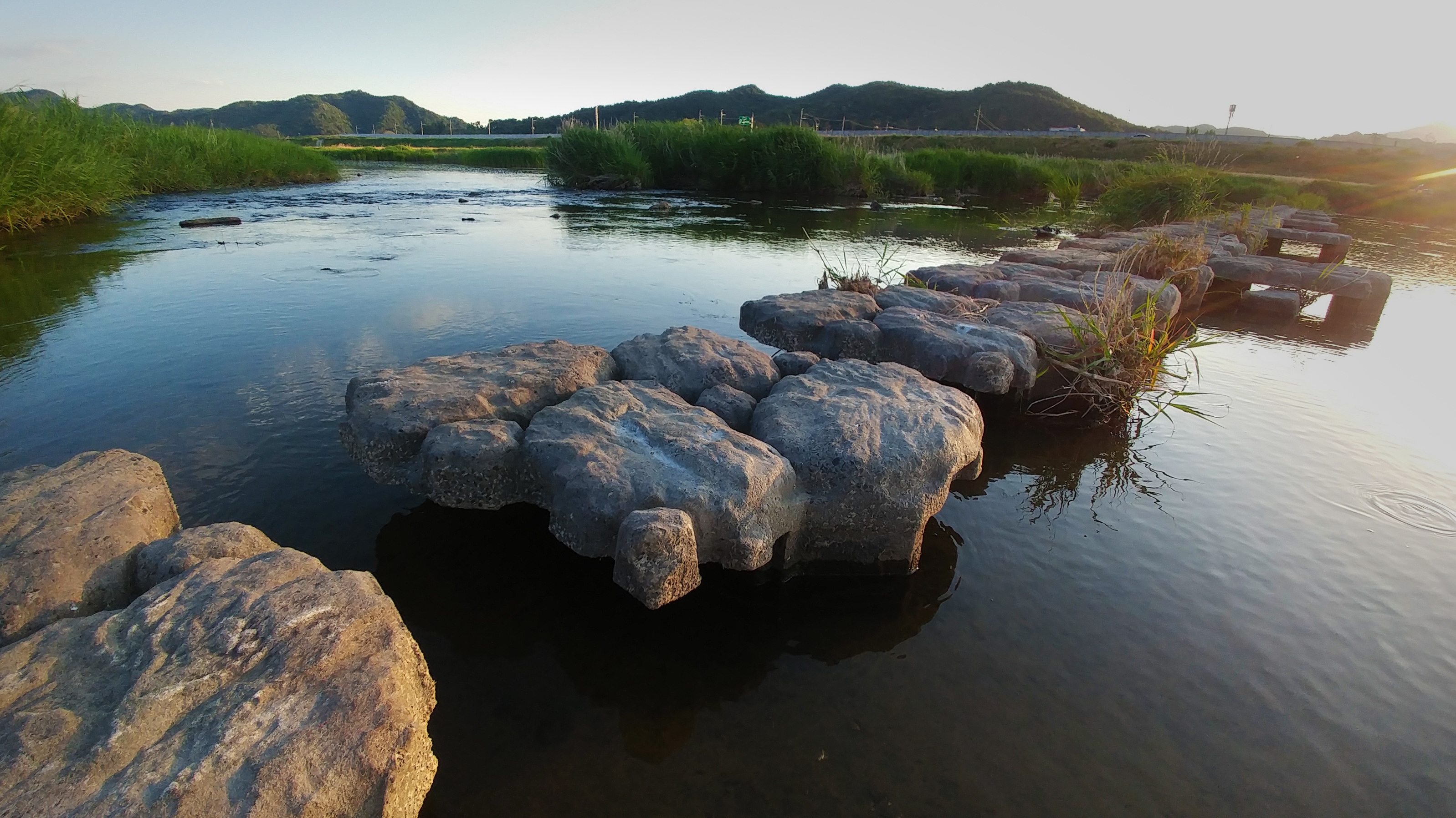 Pond Water free image download