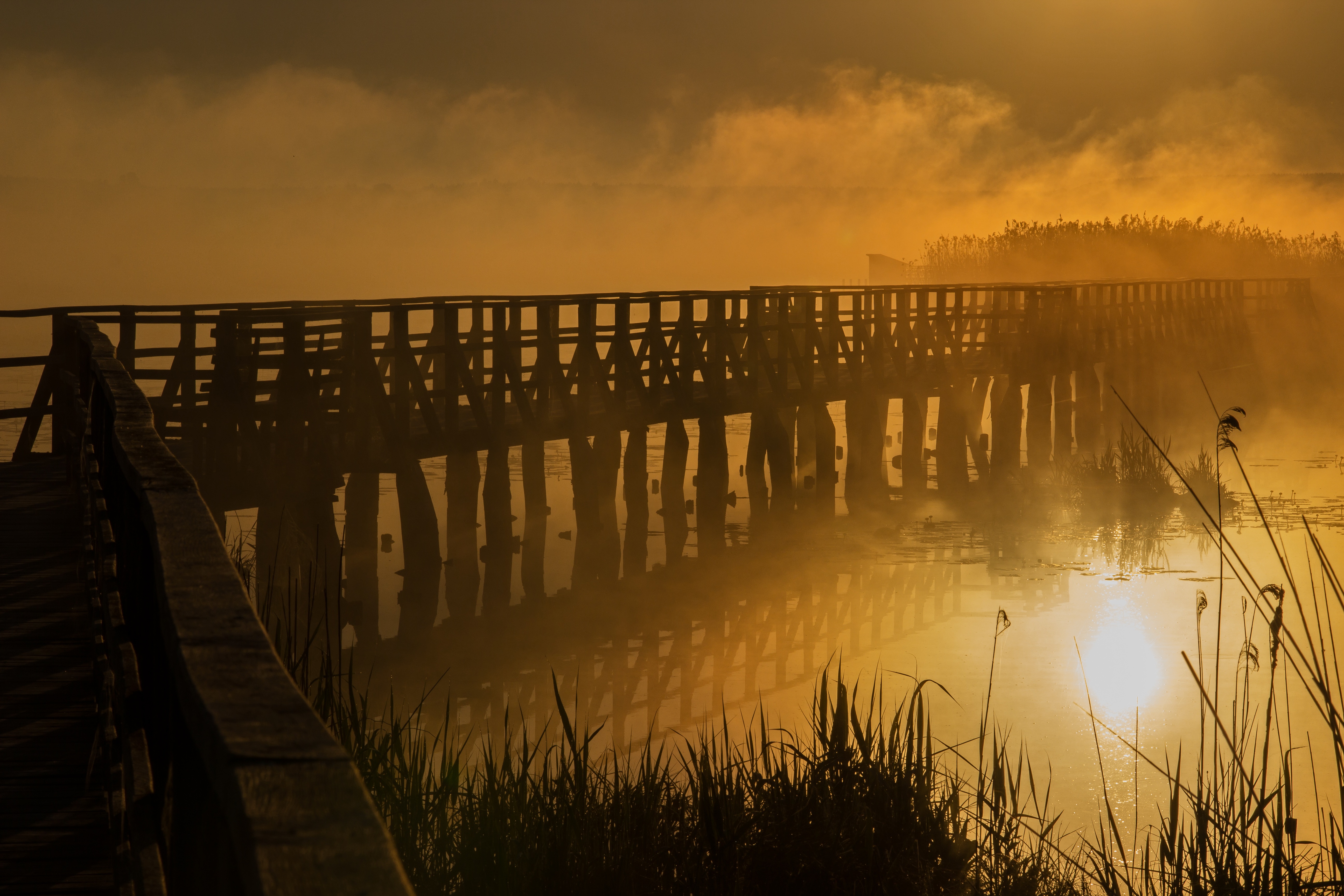 Morning Fog Mood scenery free image download