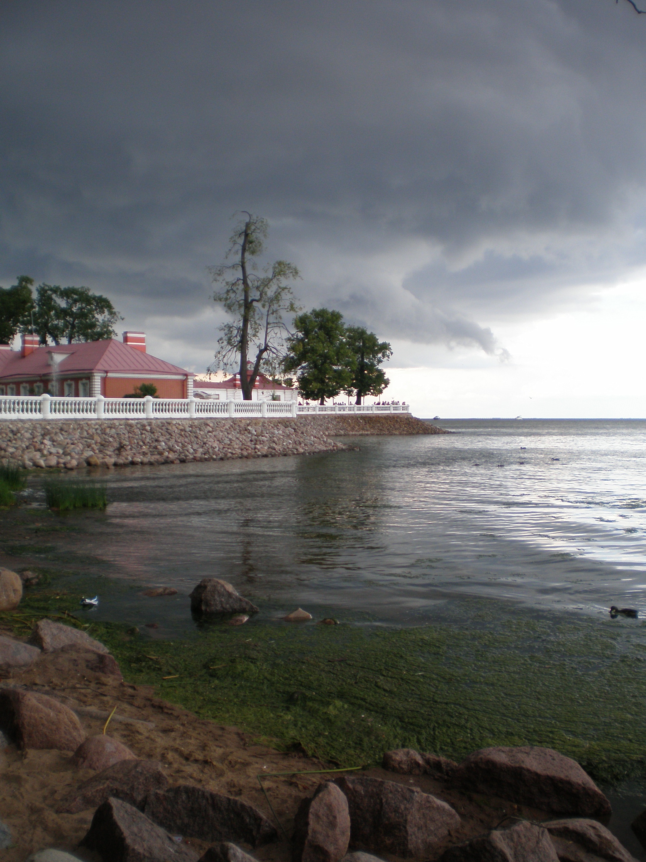 Bay Nature Landscape free image download