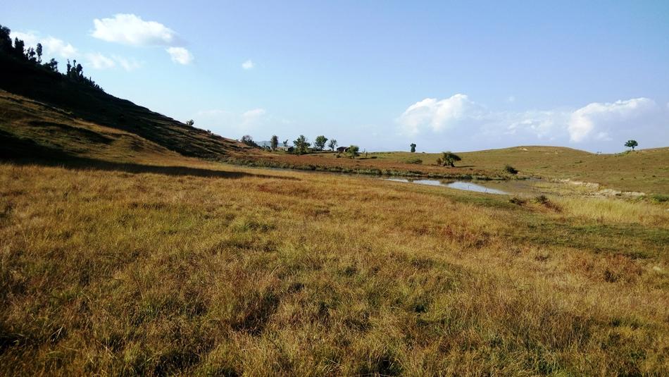 Himalayan Grassland High Mountain free image download