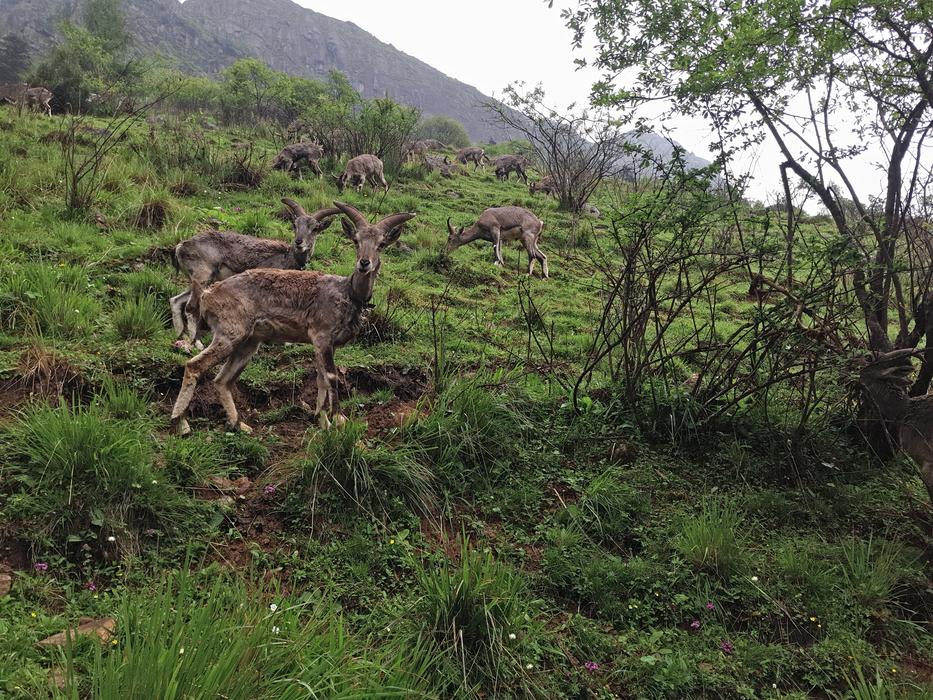 The Scenery of Bi Peng Gou free image download