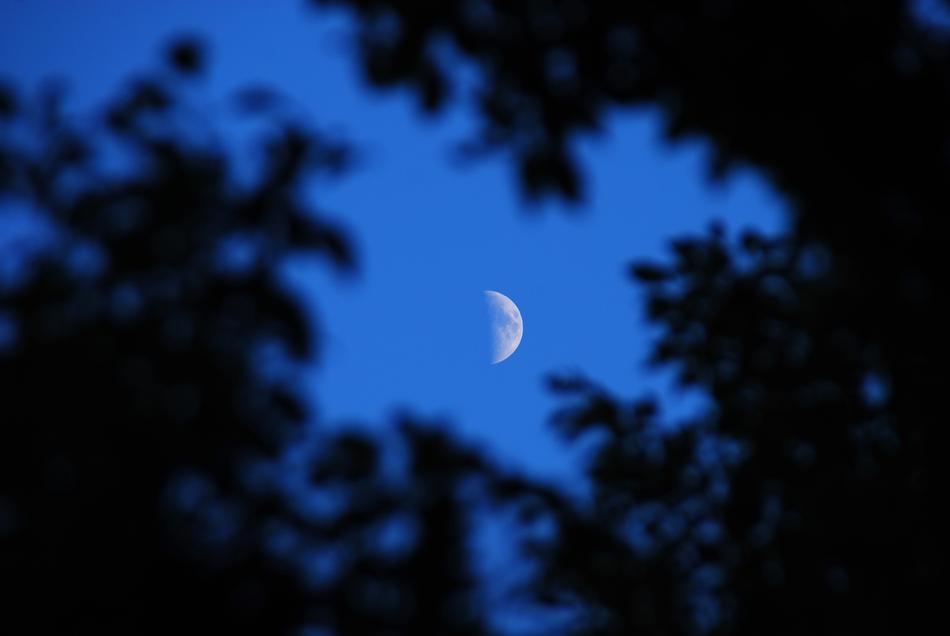 Moon Sky Light free image download
