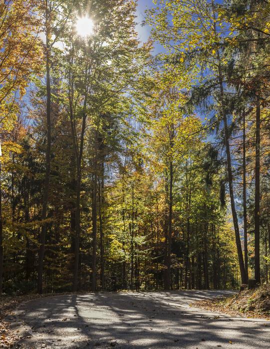 Autumn Sun Sky Golden free image download