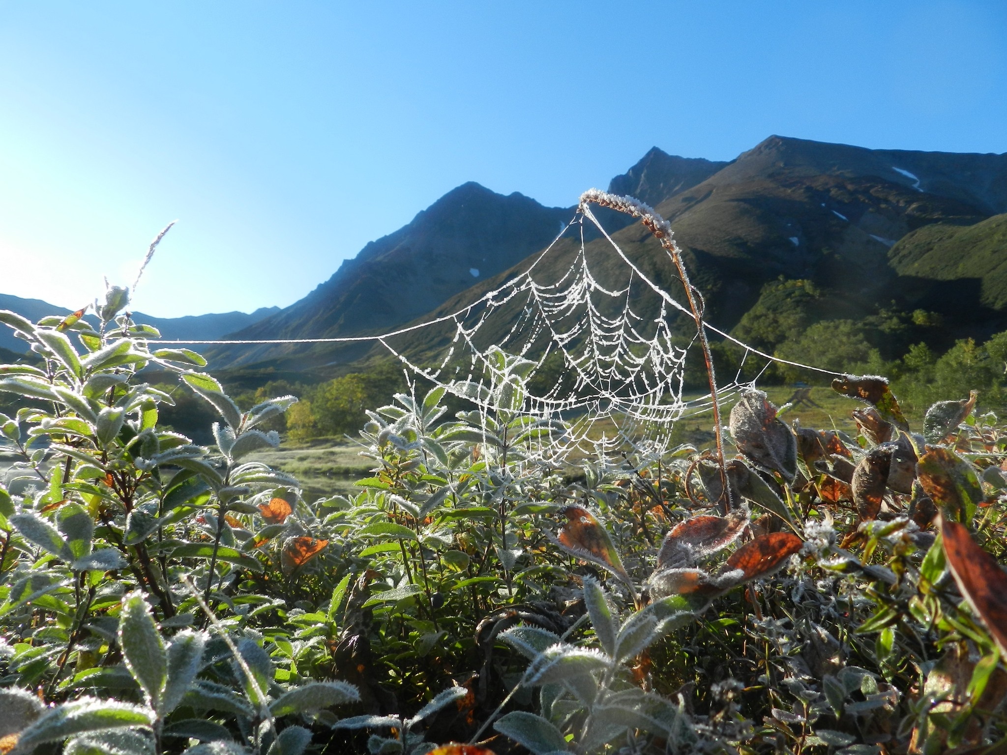 The First Frost Early Autumn free image download