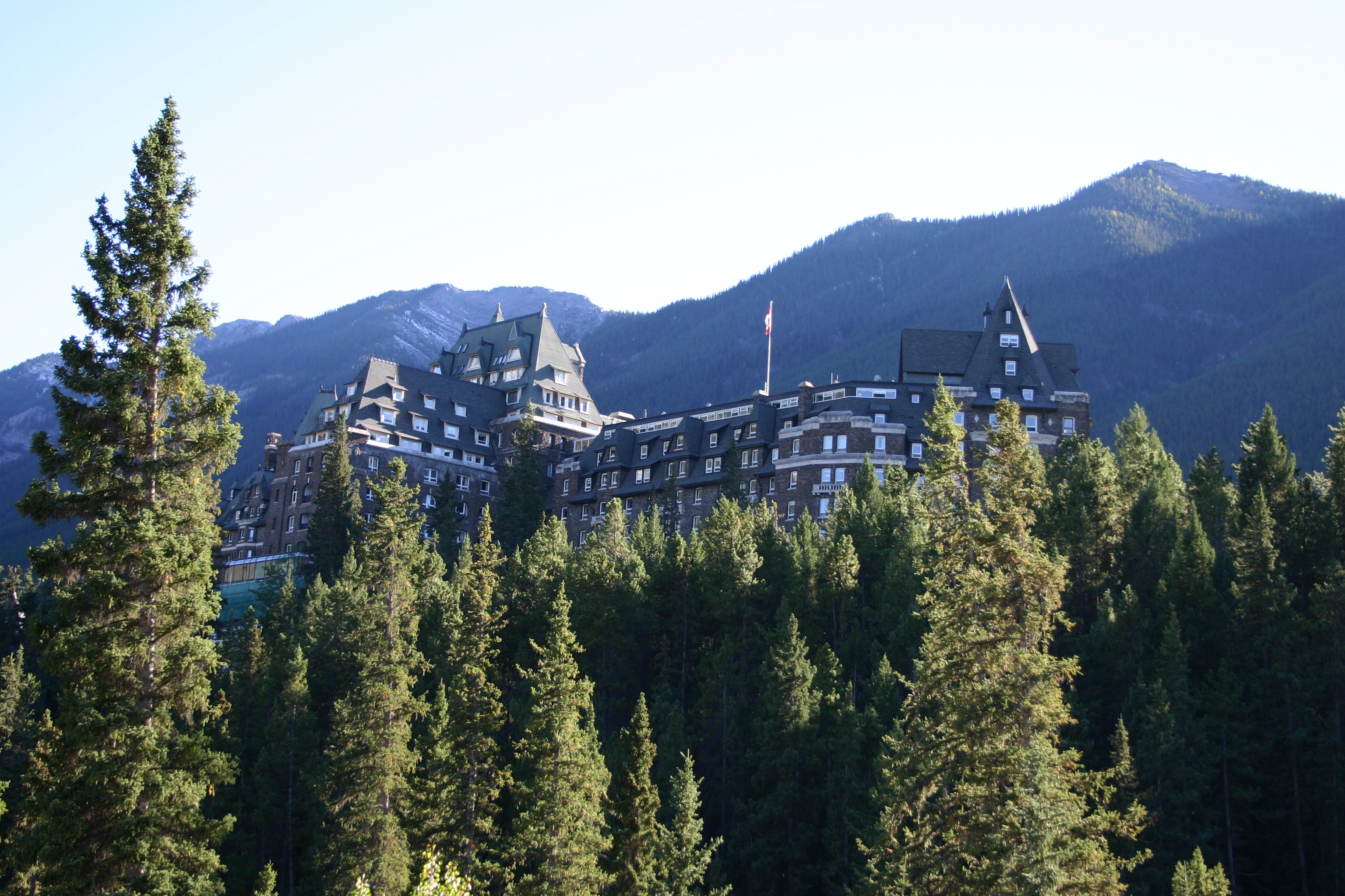 Canada Trees Pine free image download