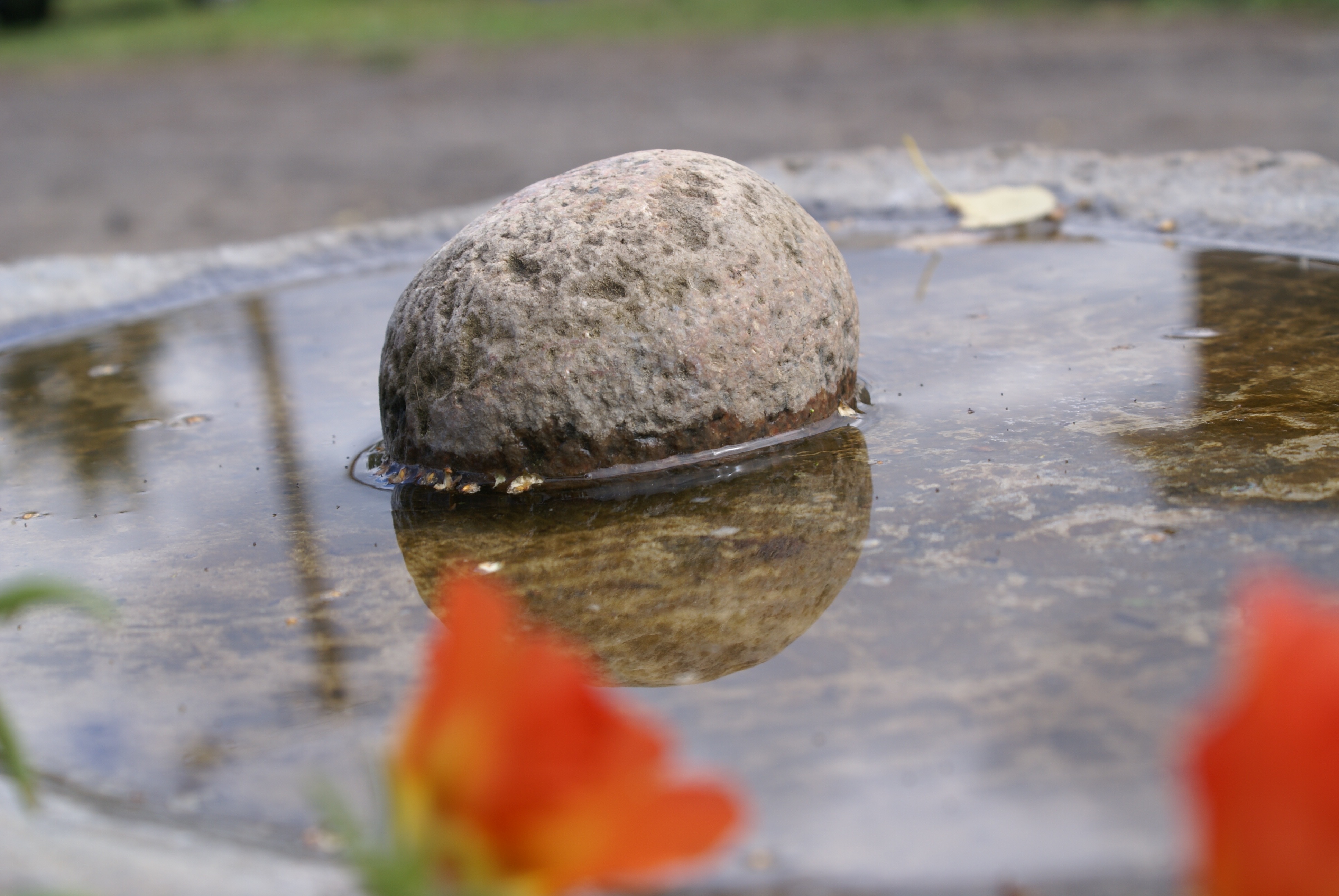 Stone Water Nature free image download
