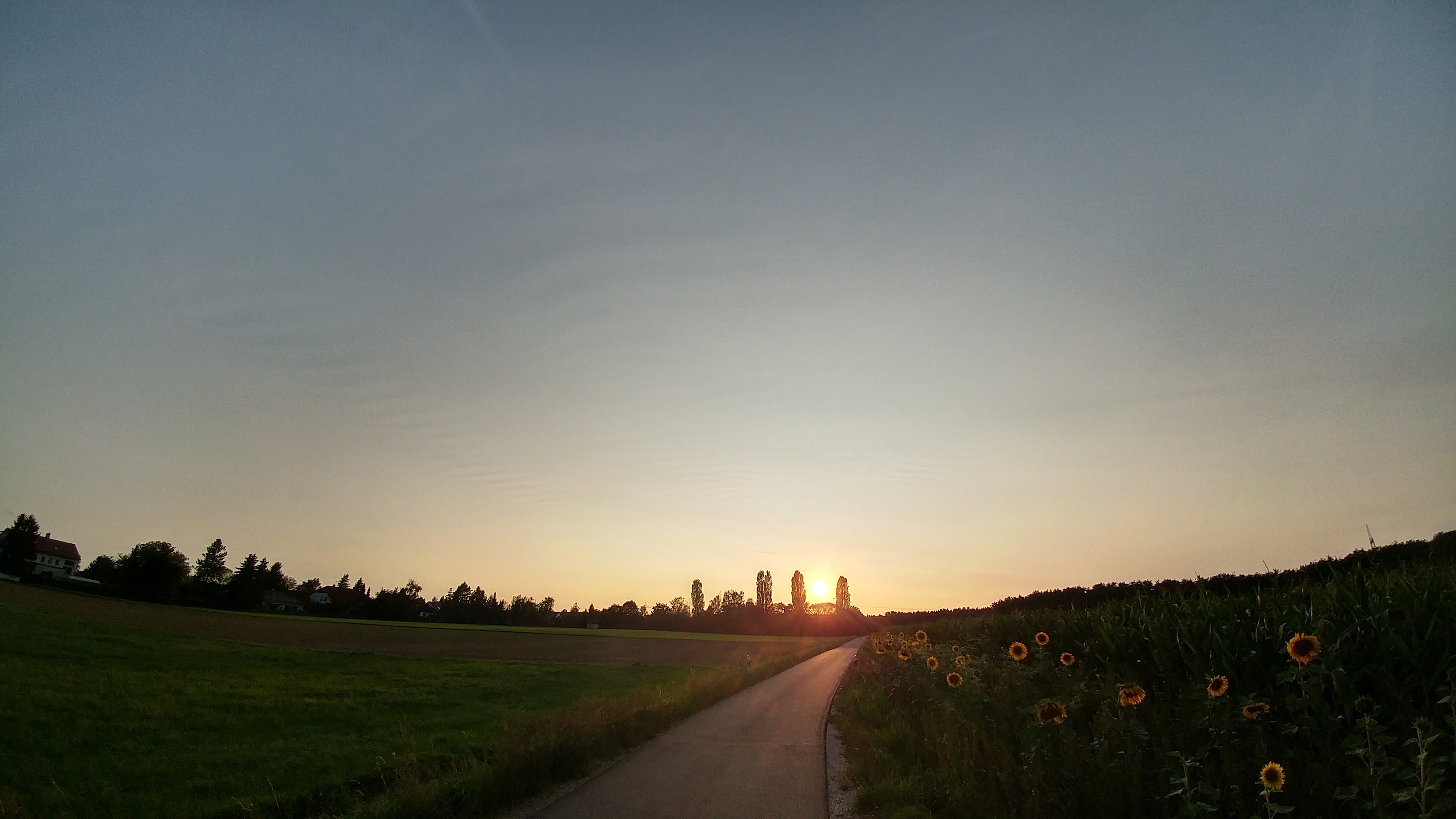 Sunset Nature Evening Sky free image download
