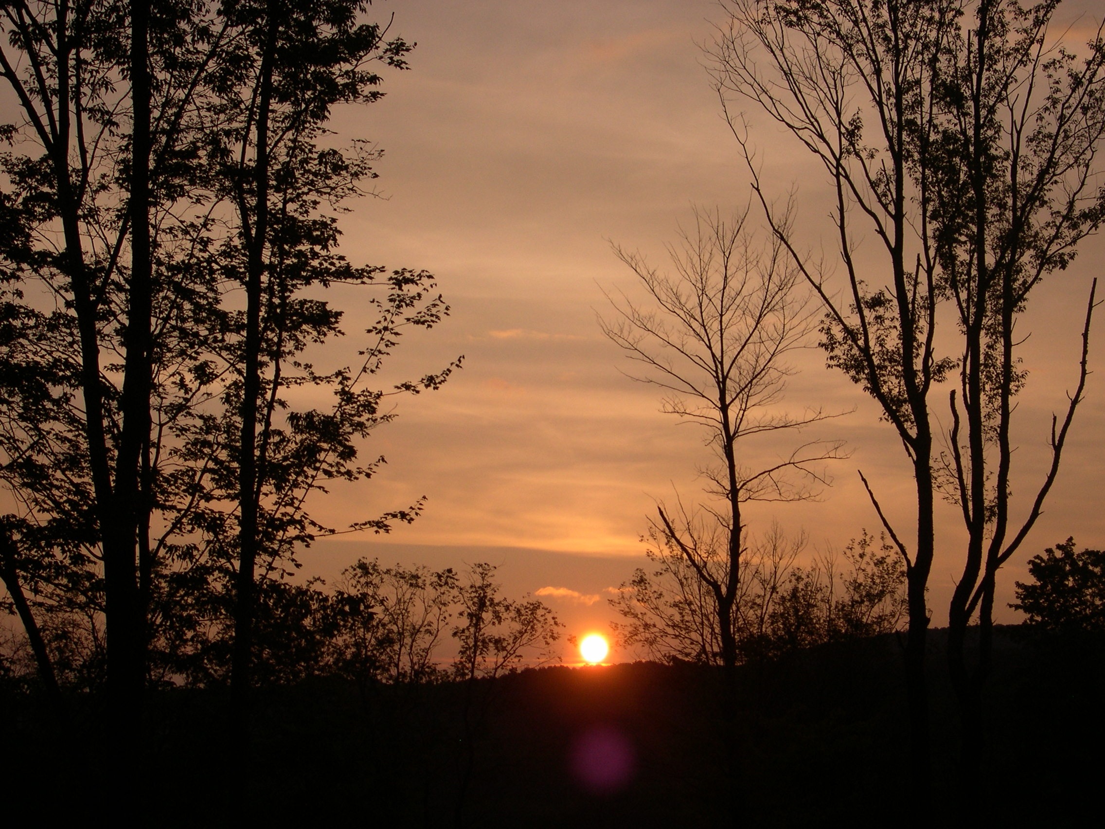 Nature Sunset Dawn free image download