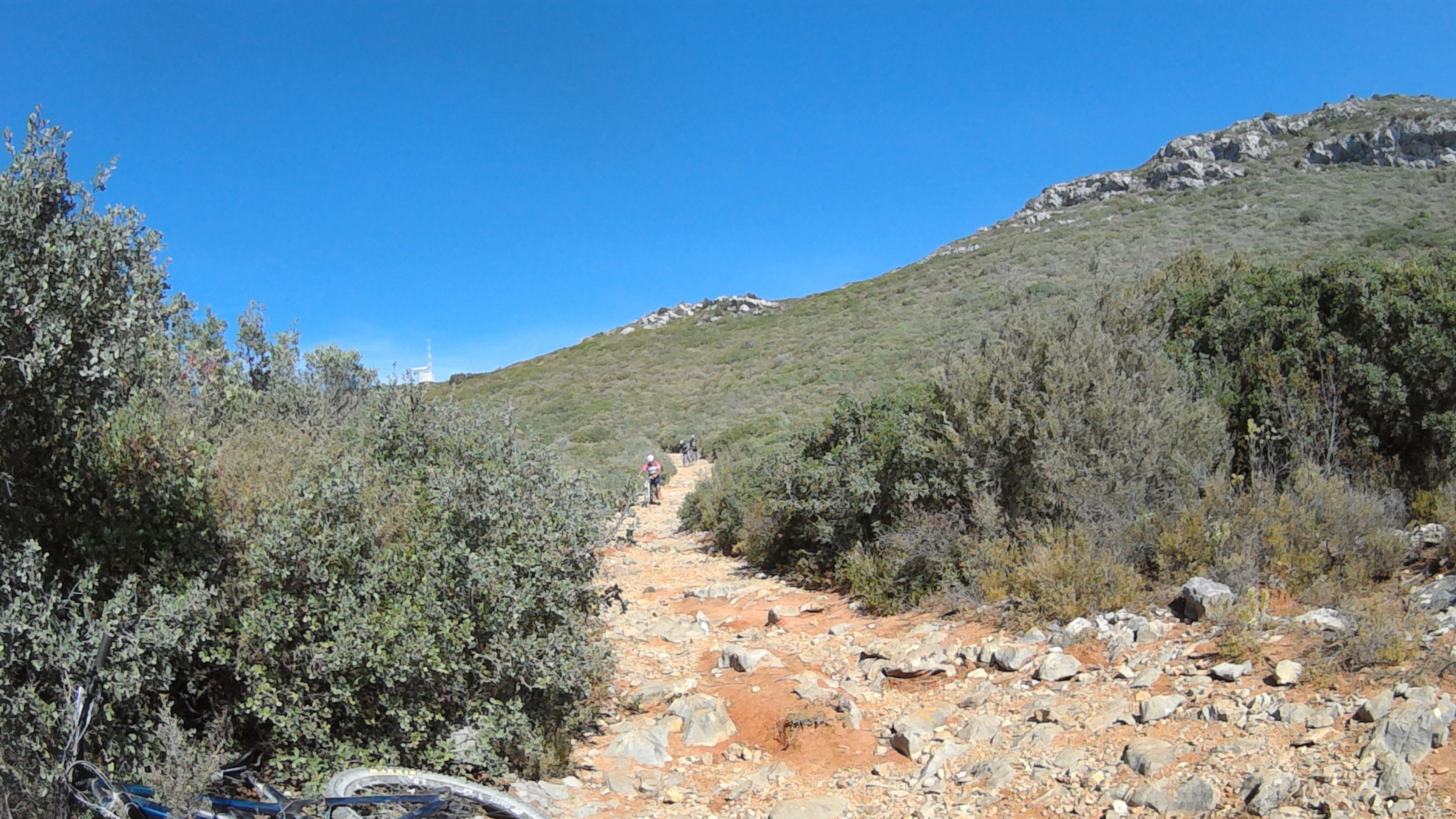 Mtb Trail Adventure free image download