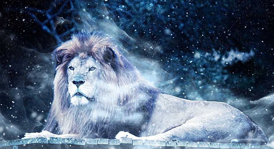 Lion snow art vintage winter free image download