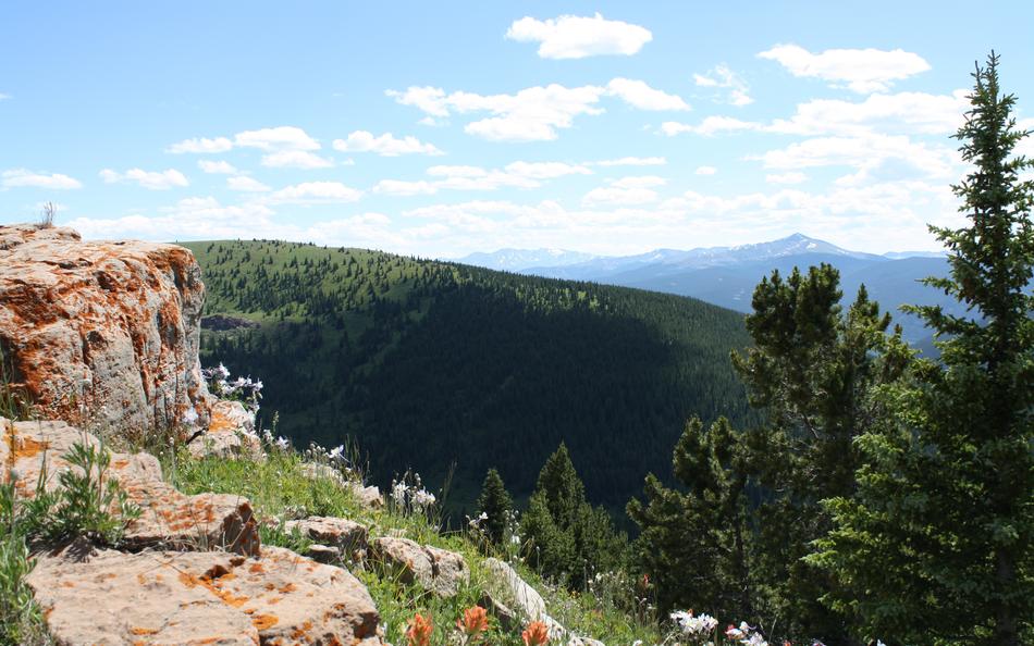 Colorado Summer Mountains free image download