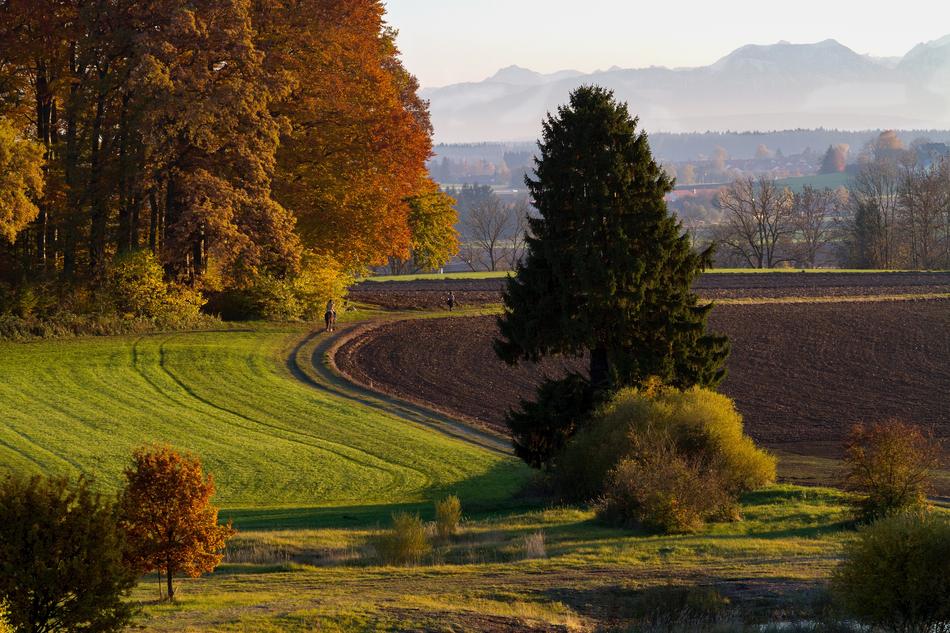 Bavaria Autumn Nature free image download