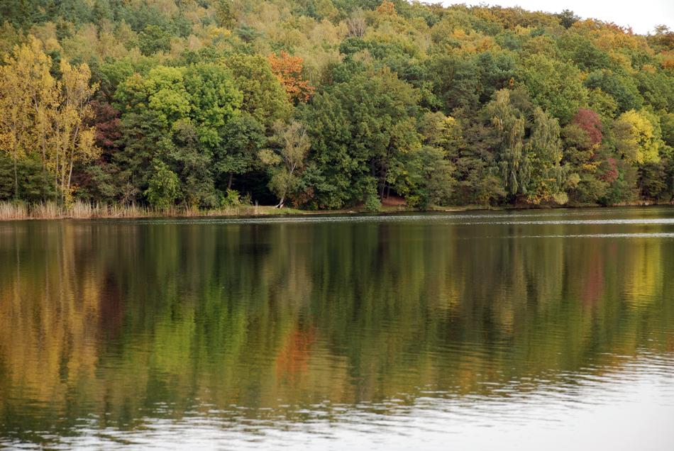 Autumn Potsdam Lake free image download