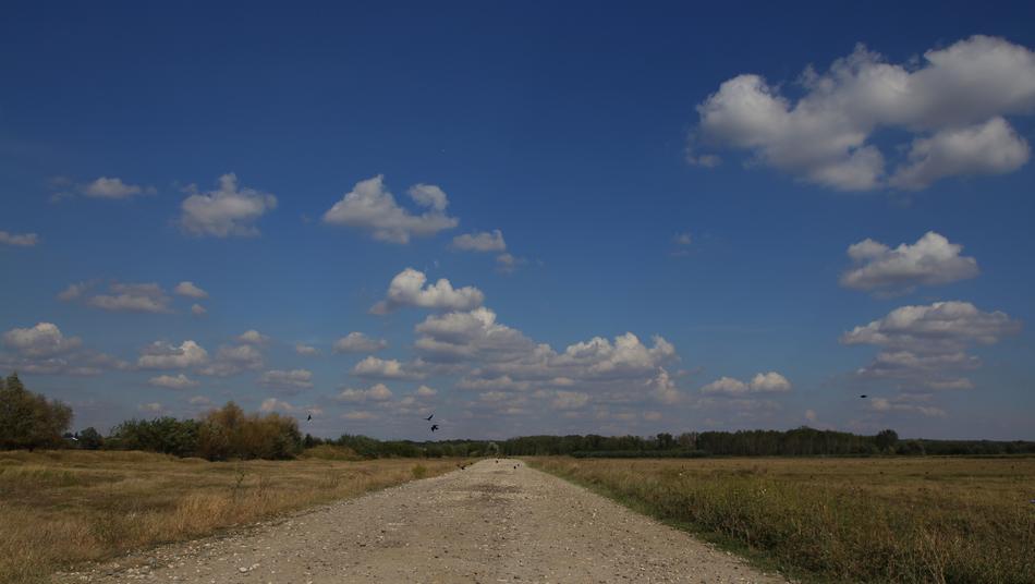 Landscape Road Cloud free image download
