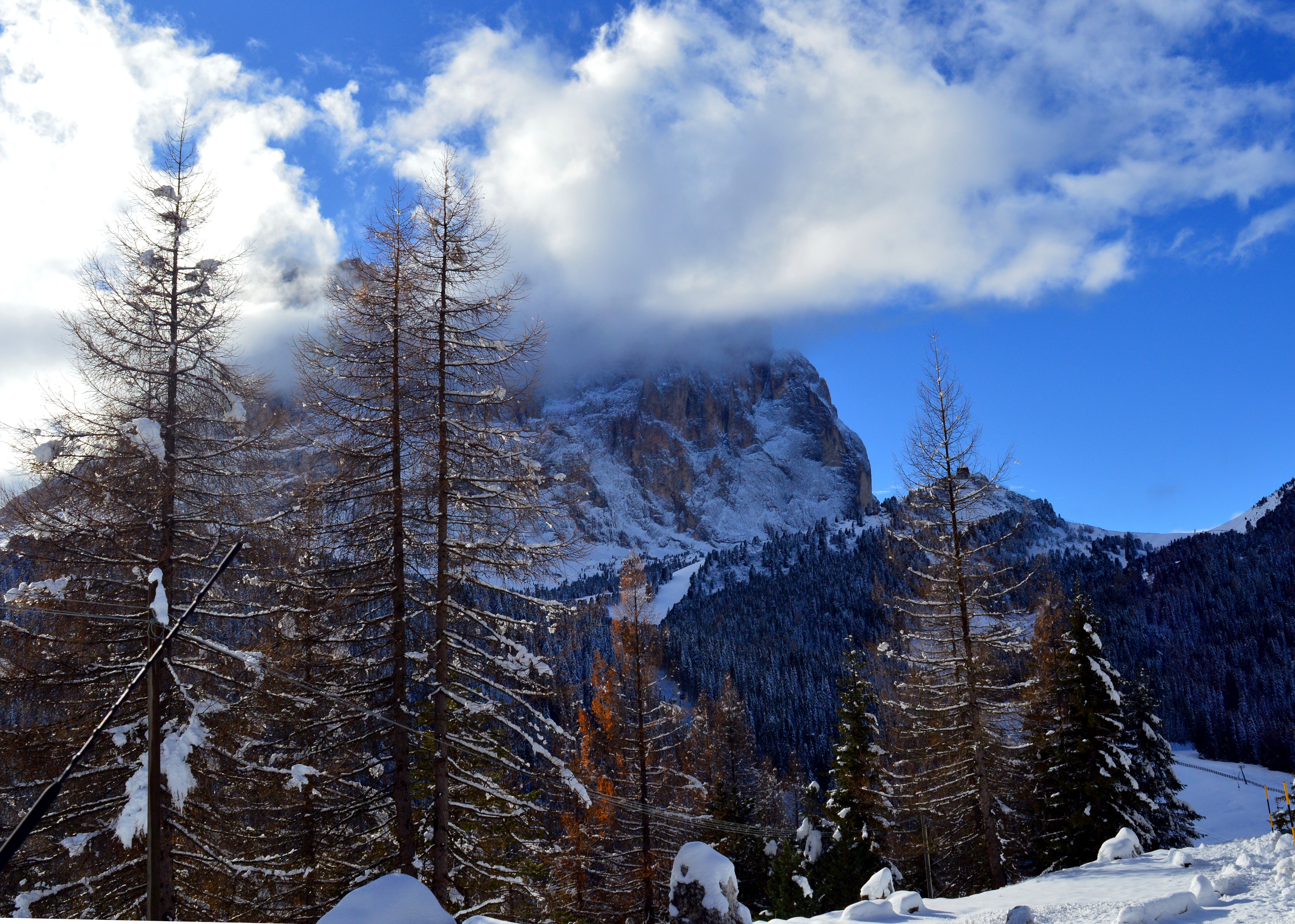 Mountains Alpine Nature free image download