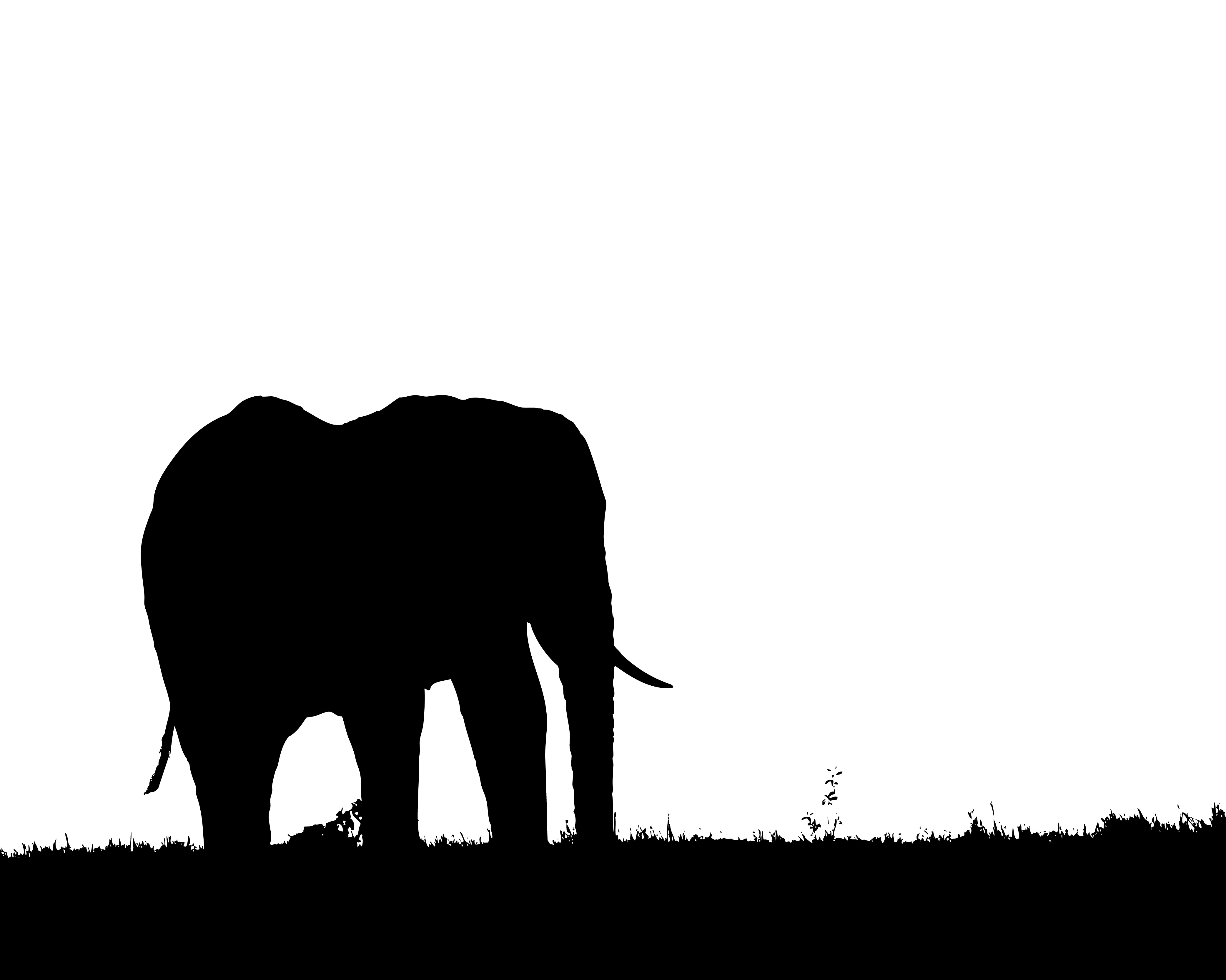 Elephant silhouette profile nature free image download