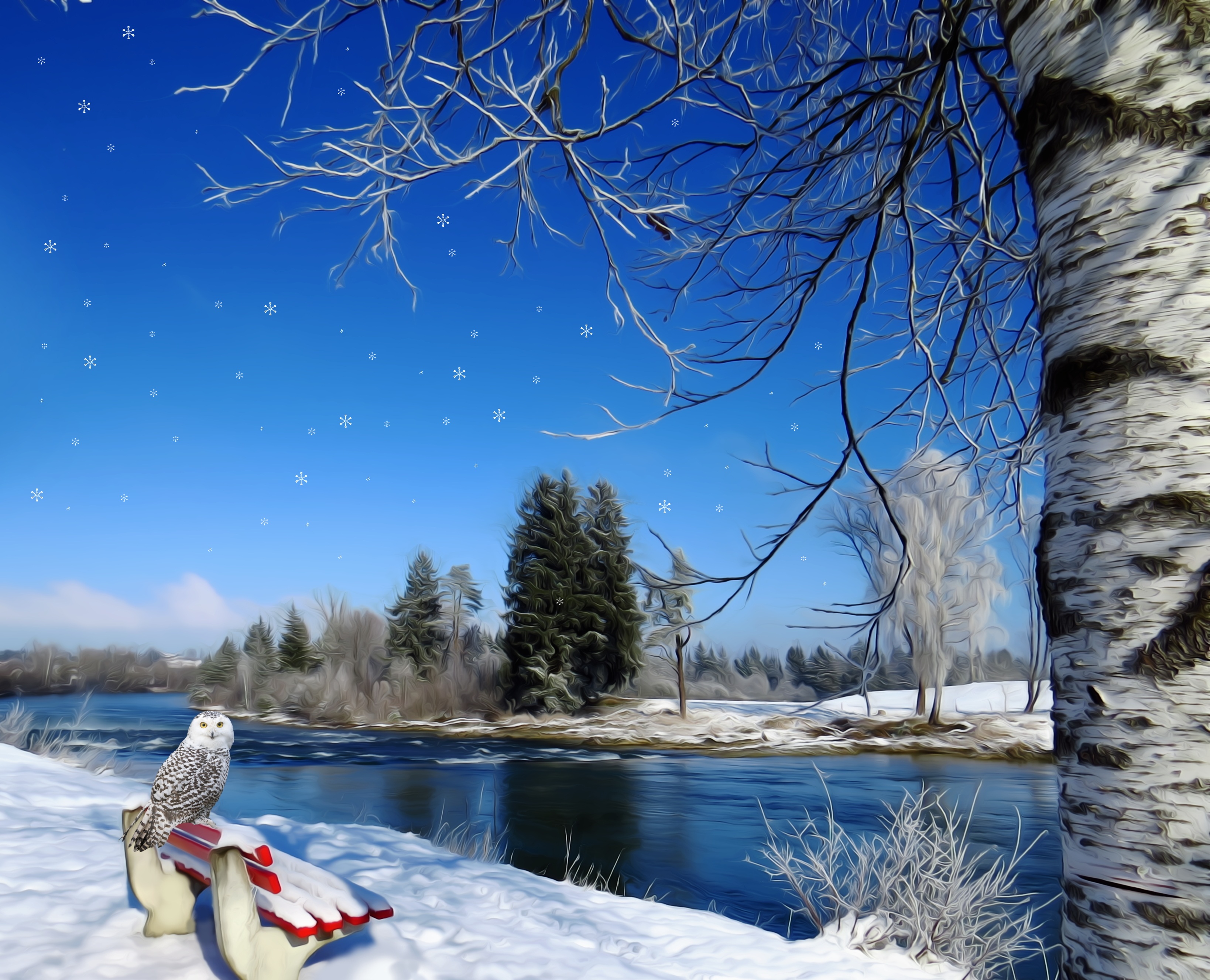 Winter Snow Owl free image download