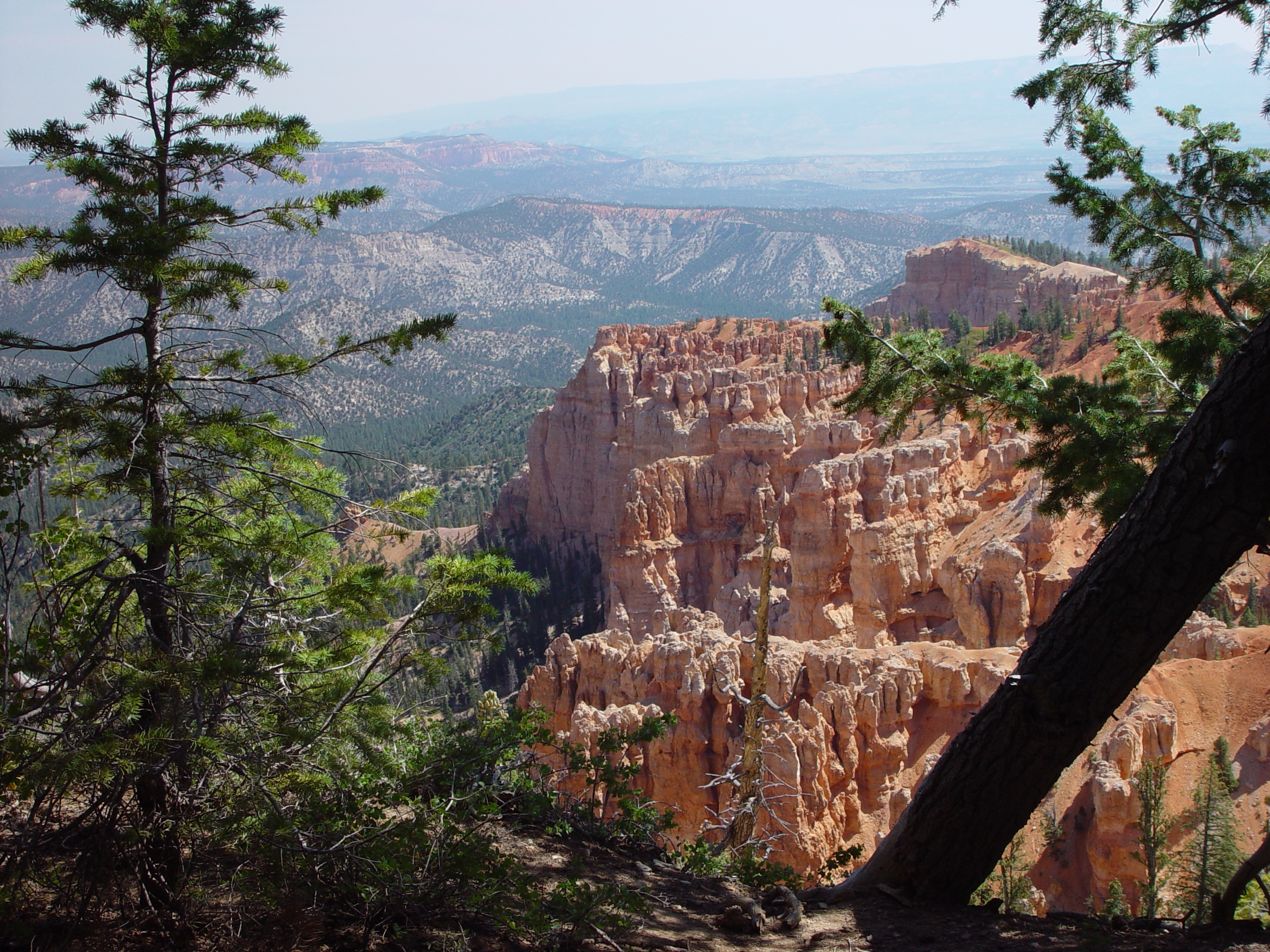 Bryce Canyon Pines National free image download