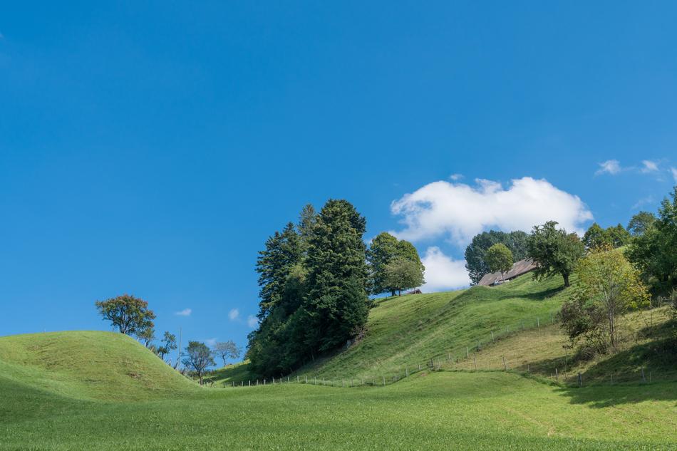 Landscape Green Nature free image download