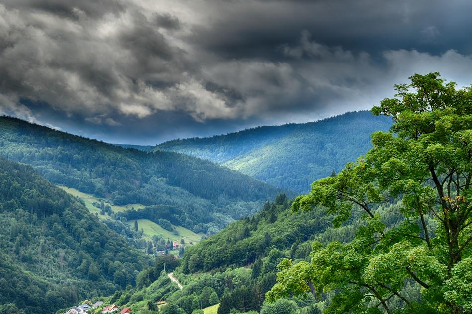 Storm Forest Mountains free image download