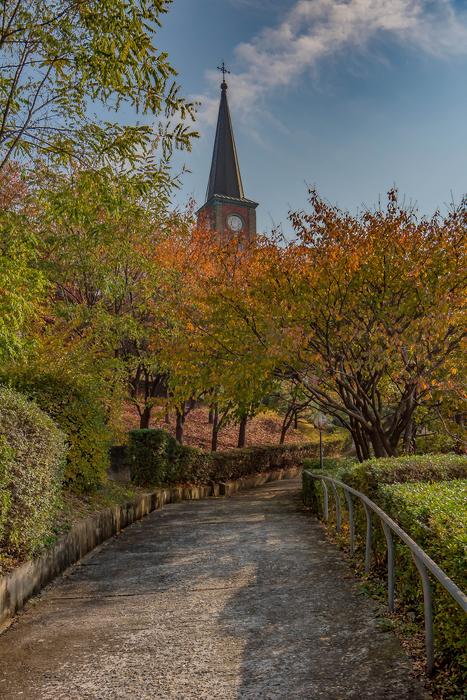 Cathedral Autumn Roman Catholic free image download