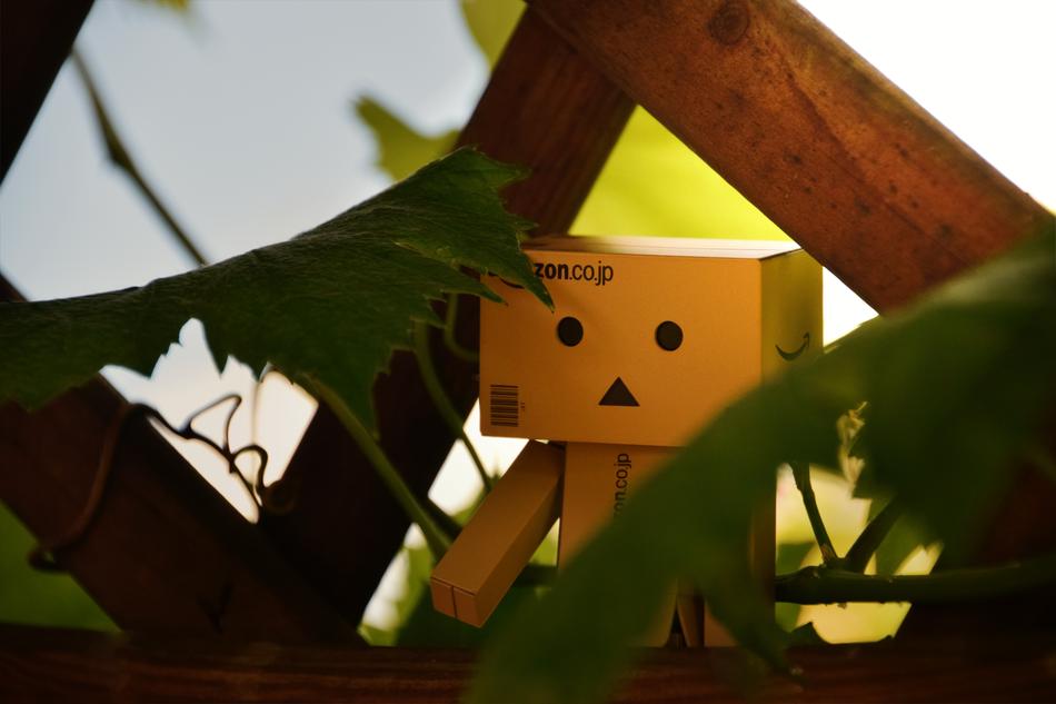 Danbo Fence Leaves free image download