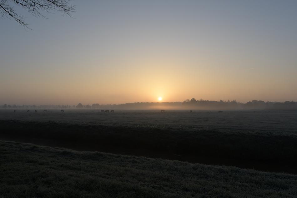 Light Morning Sunrise free image download